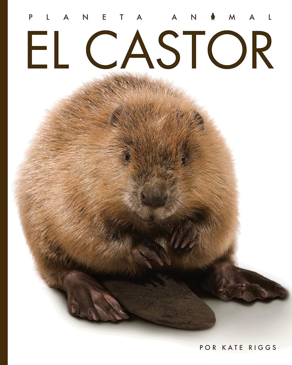 El castor (Planeta animal) (Spanish Edition): Riggs, Kate ...