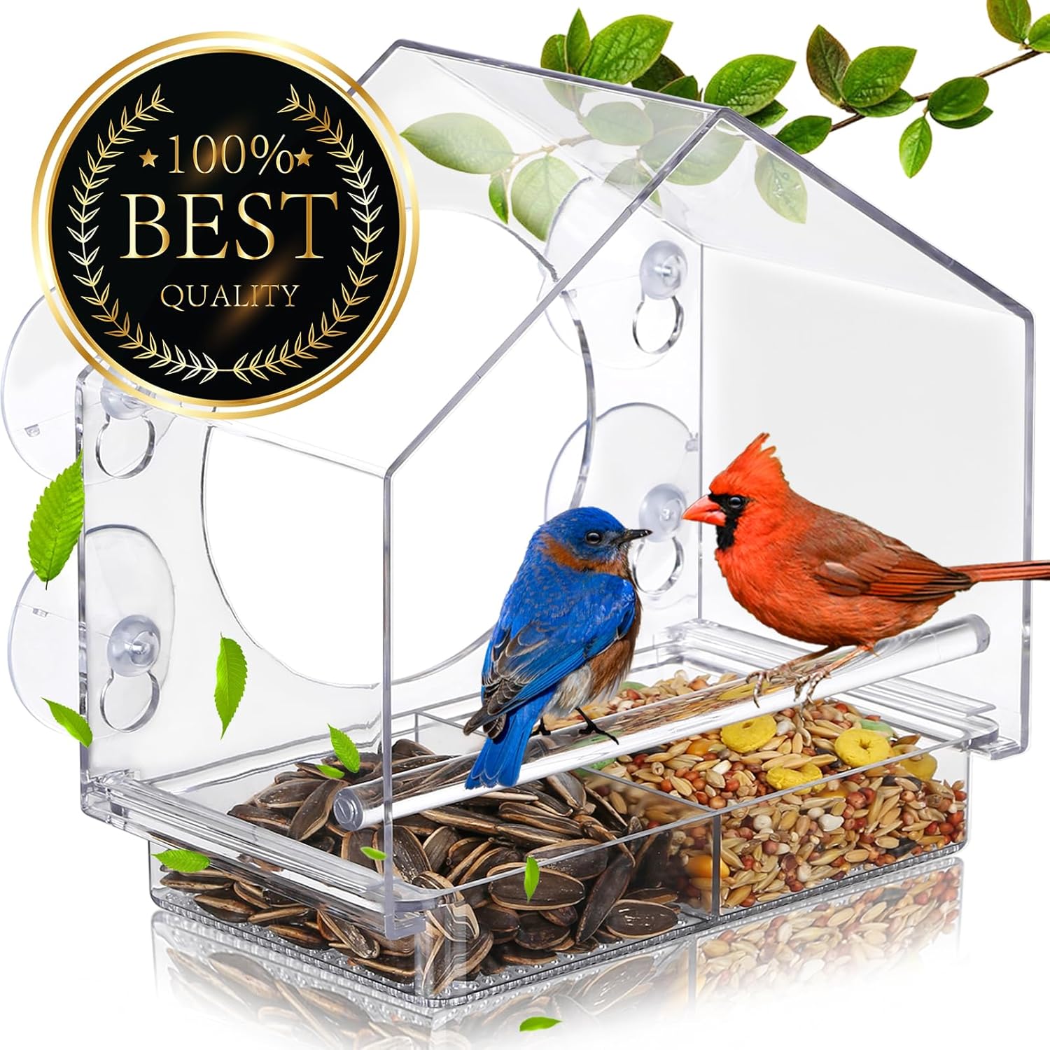 Amazon.com : Window Bird Feeder with 4 Extra Strong Suction Cups,Clear ...