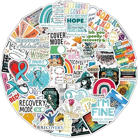 Amazon.com: 65Pcs Recovery Stickers Pack,Cartoon Aesthetic Vinyl ...