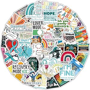 Amazon.com: 65Pcs Recovery Stickers Pack,Cartoon Aesthetic Vinyl ...