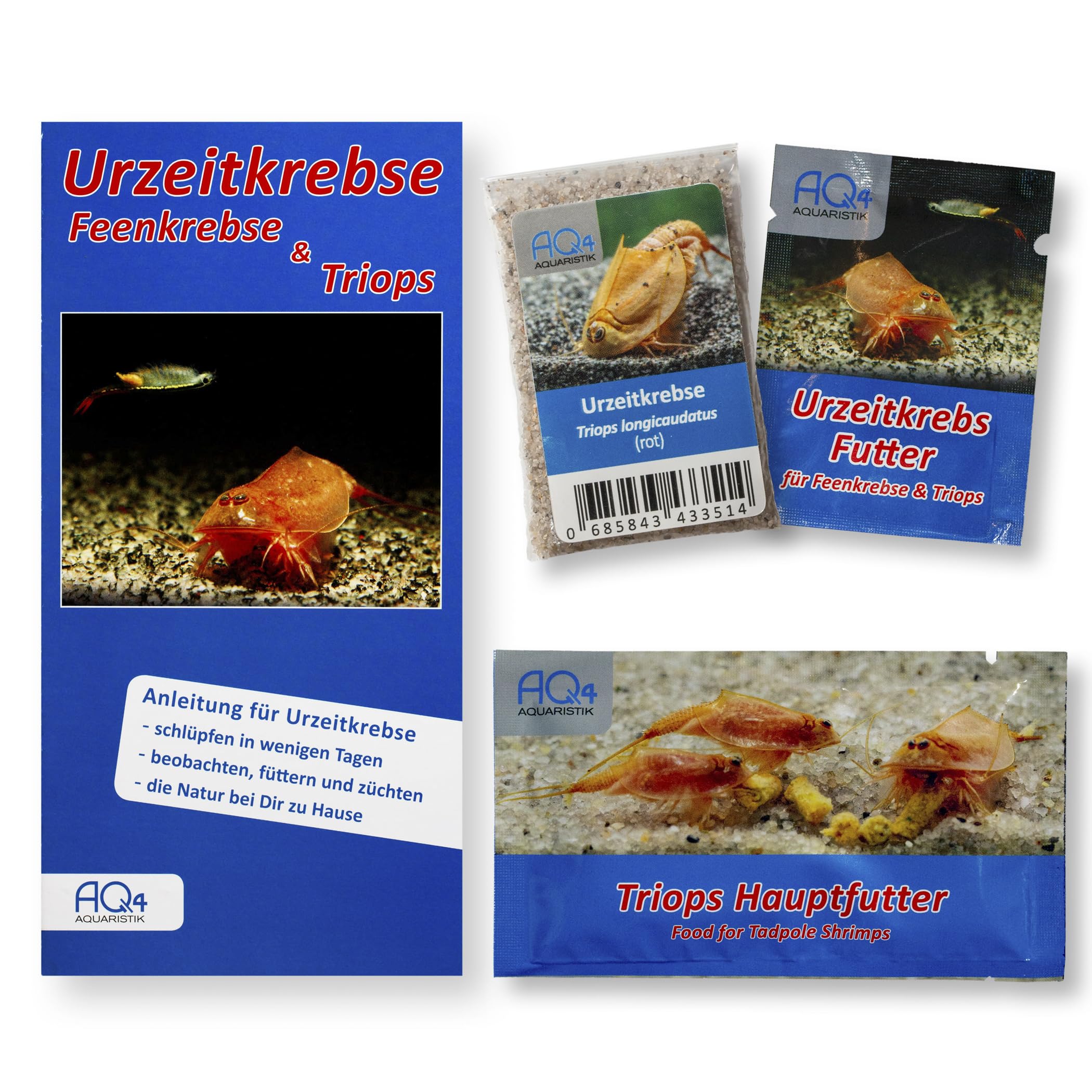 Tadpole Shrimp Kit