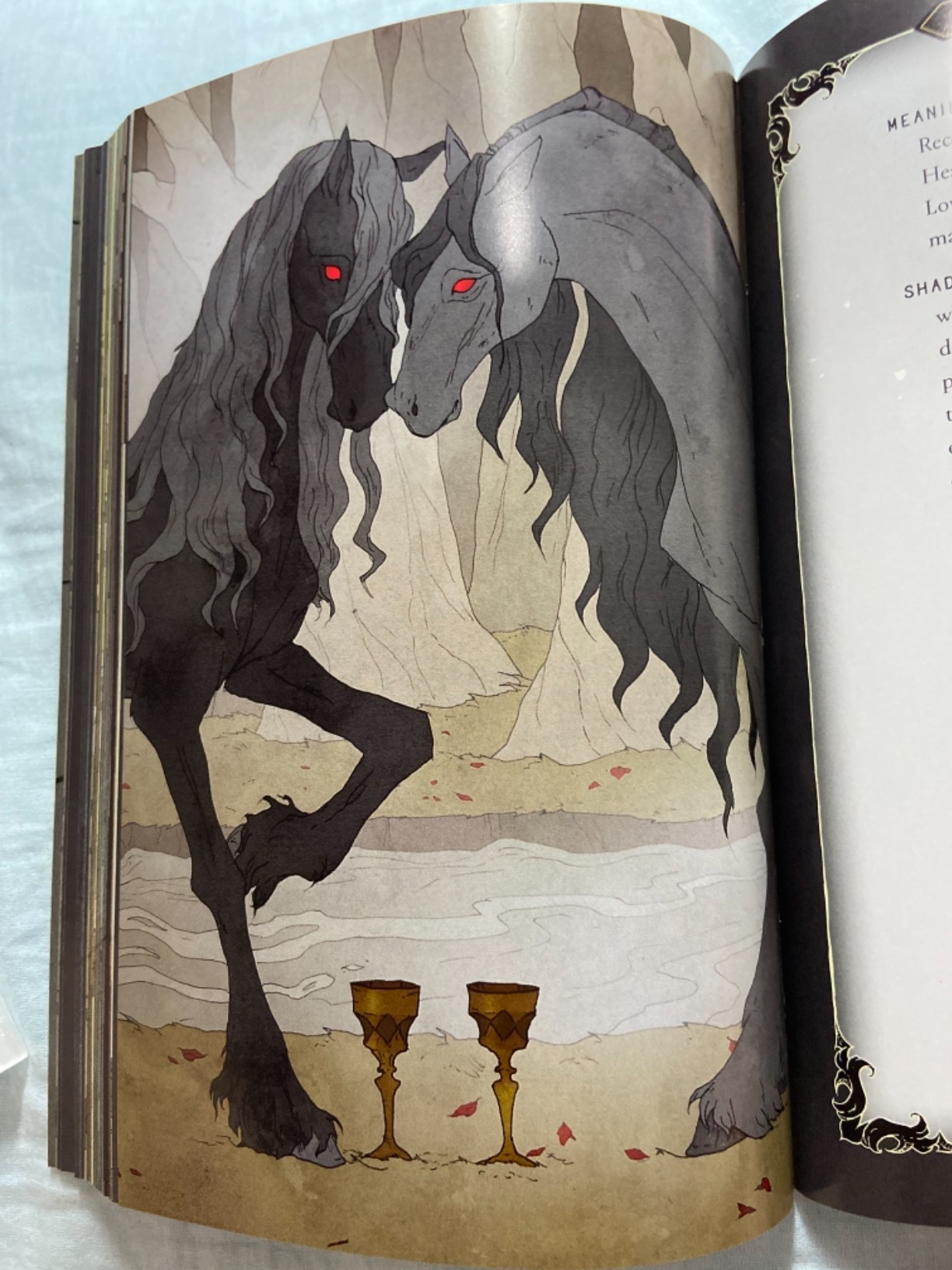 Dark Wood Tarot : Graham, Sasha, Larson, Abigail: Amazon.de: Bücher