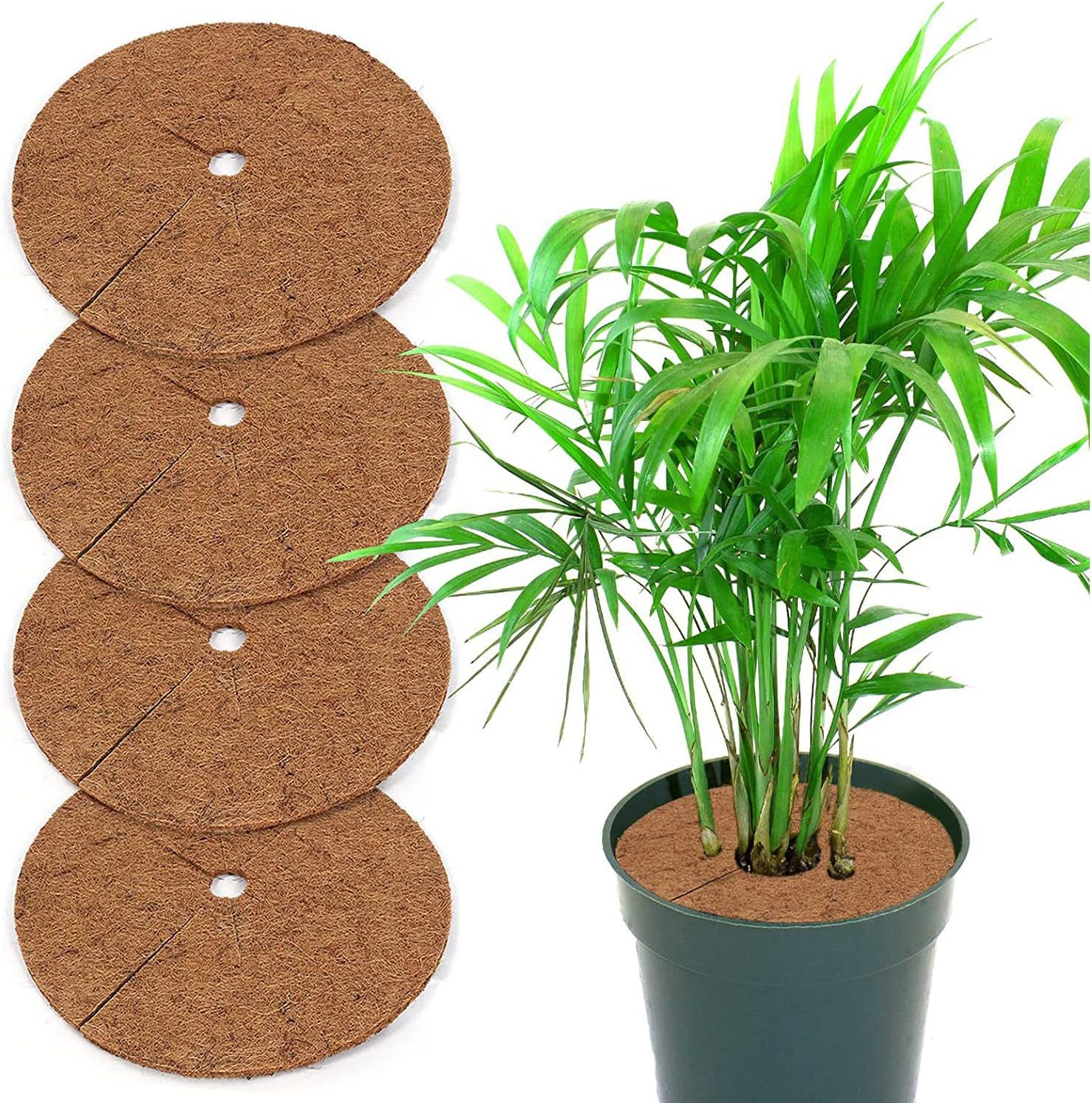 Amazon.com: Guiran Mulch Mat Pack Of4 Coco Fiber Mat Coconut Ring Tree ...