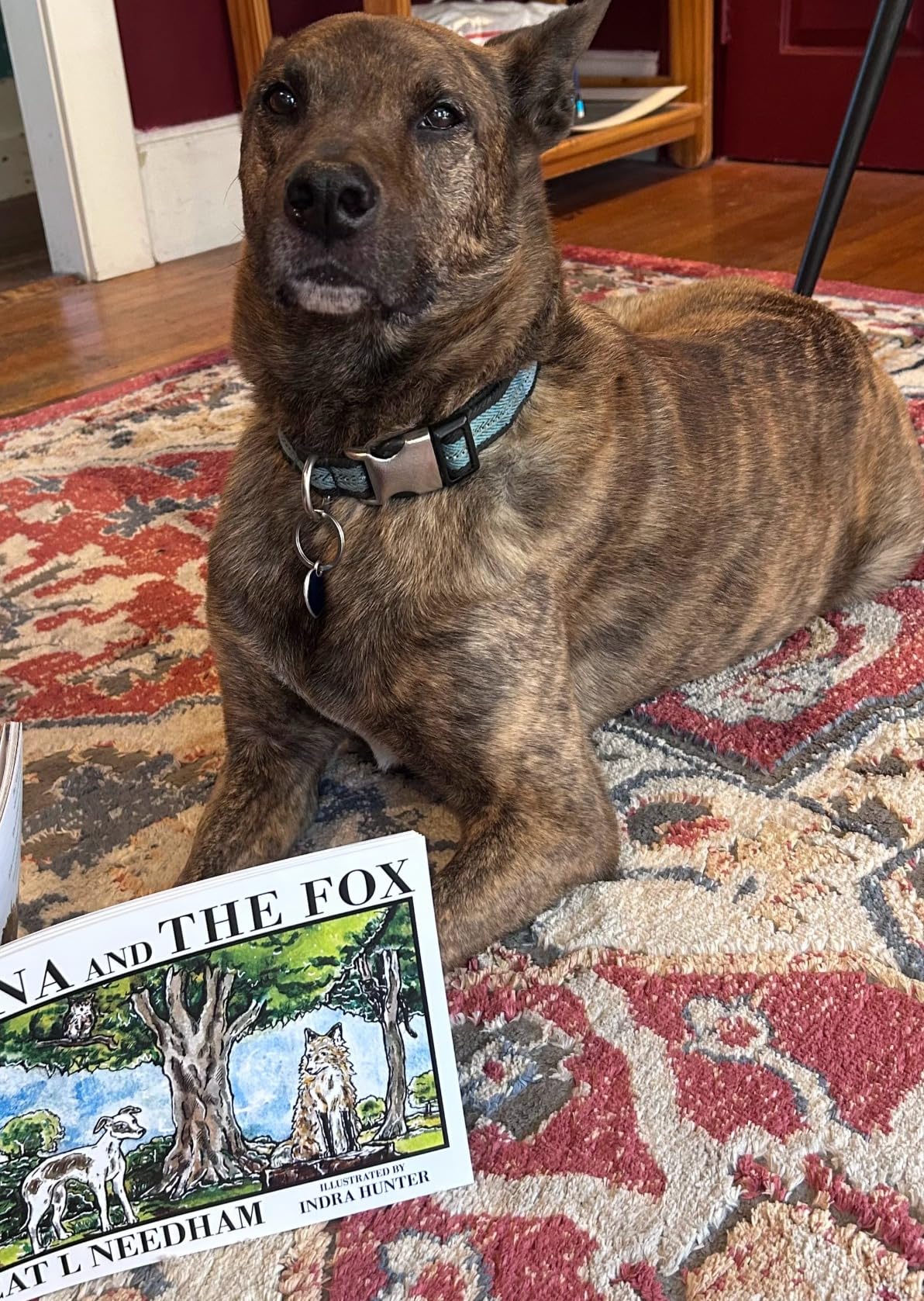 Yuna and the Fox: Needham, Cat, Needham, Cat: 9798988425014: Amazon.com ...