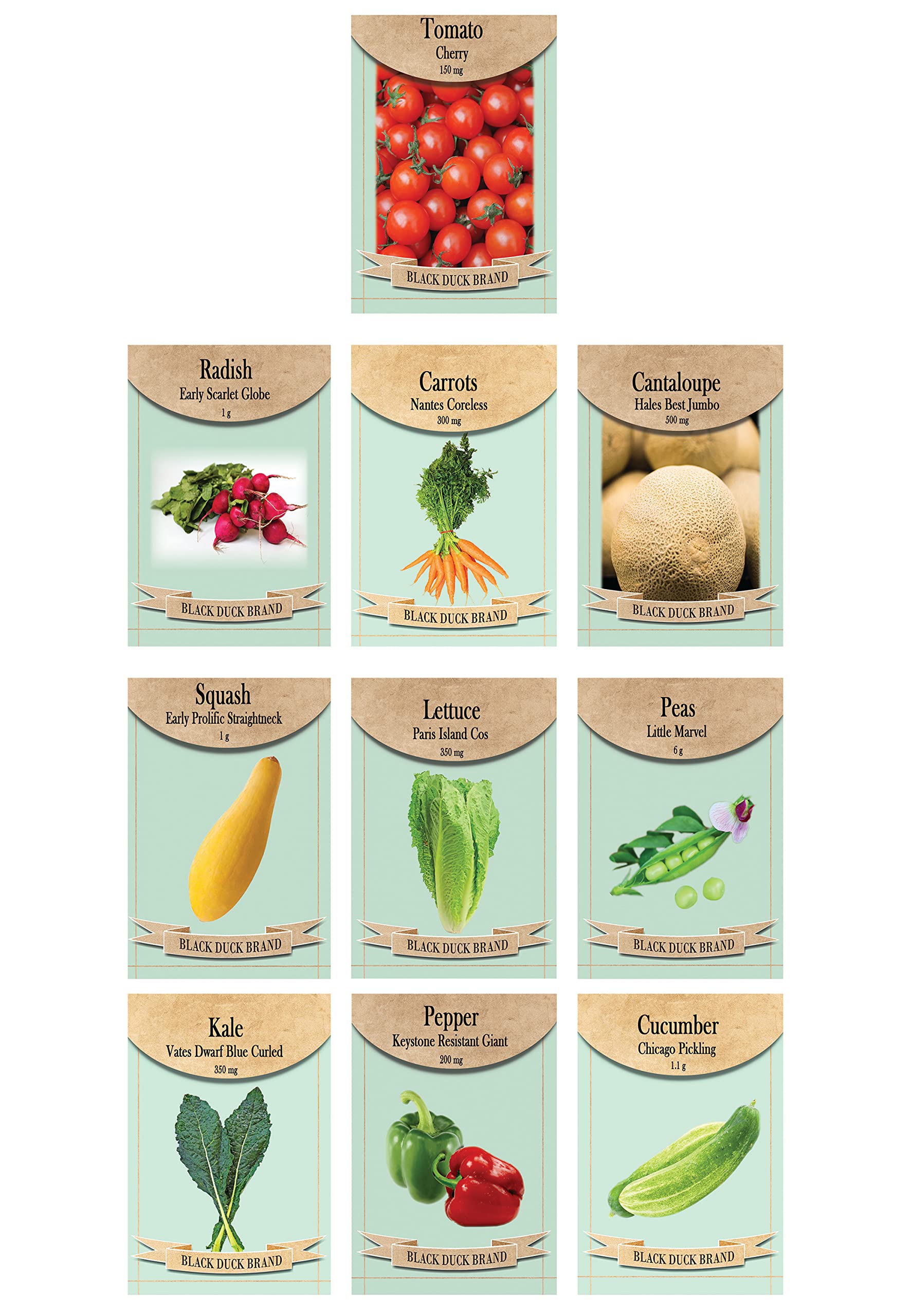 Amazon.com : Set of 10 Assorted Vegetable & Herb Seed Packets - Create ...