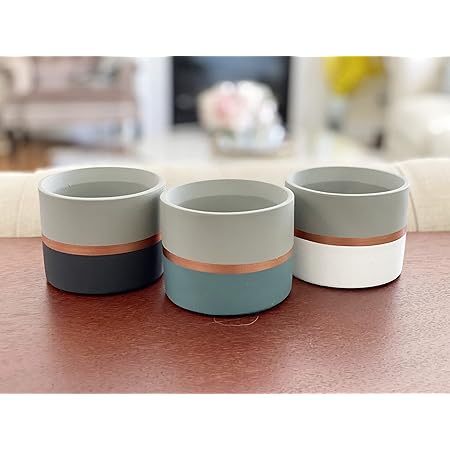 Amazon.com : Chez JuJu Assorted Nordic Cement Succulent Pots 3.5 ...