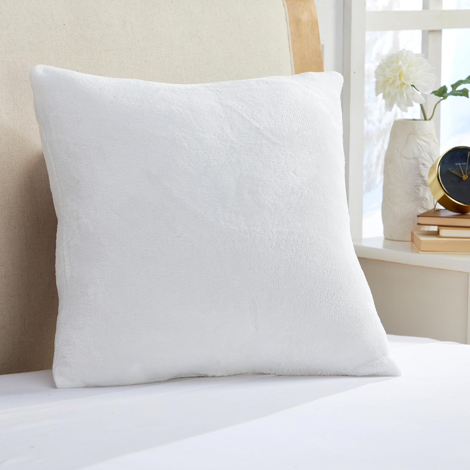 Amazon.com: Triodream 2 Pack Ultra Soft Velvet Throw Pillow Covers ...