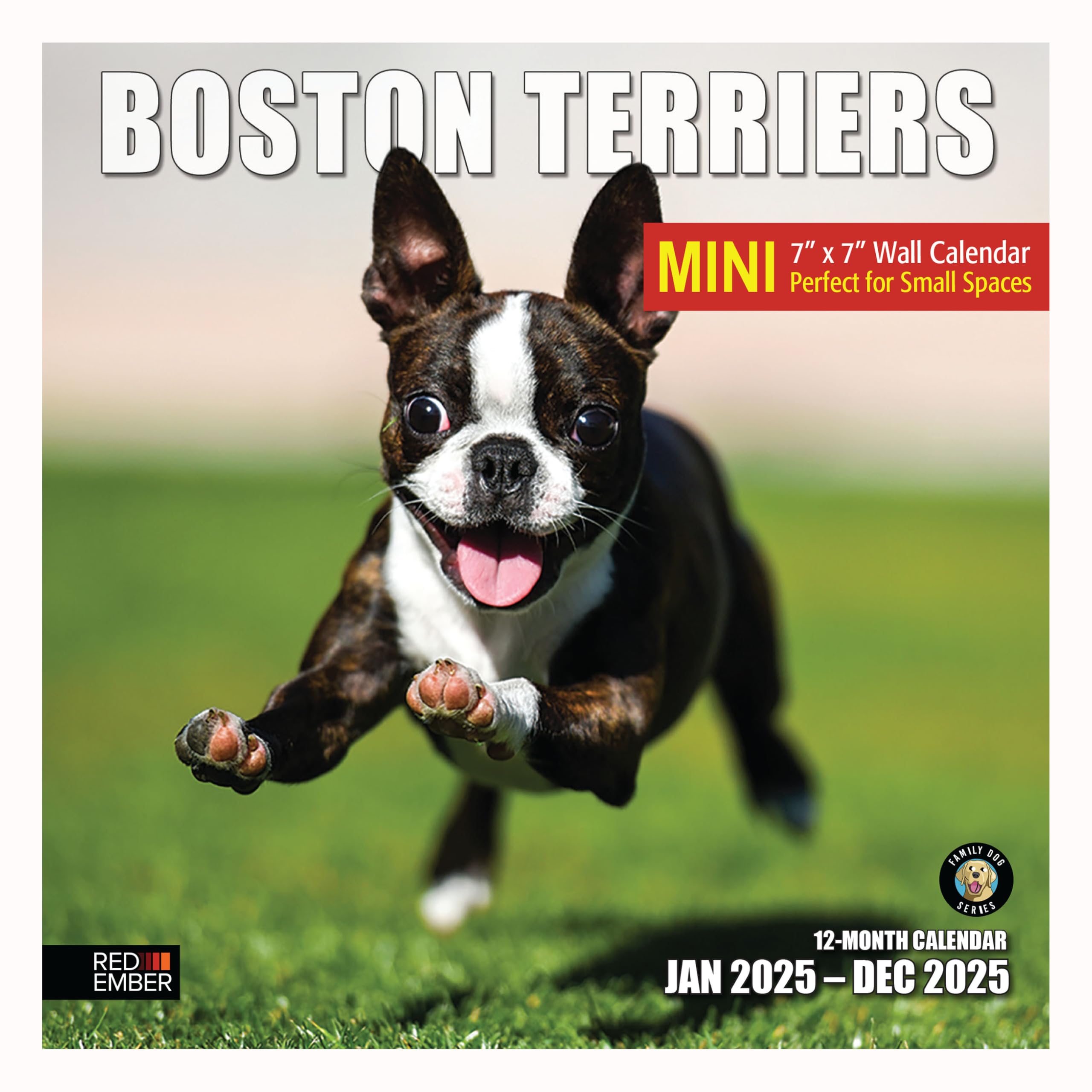 Amazon.com: Small Spaces Mini Wall Calendar - Boston Terriers 2025 ...