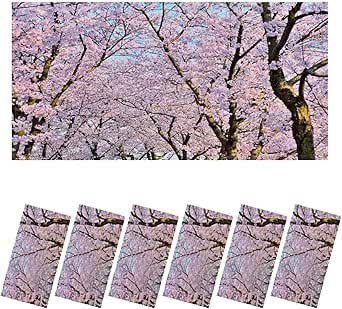 DERUINVAIO 6 Pack Fluorescent Light Covers for Ceiling Light, Cherry ...