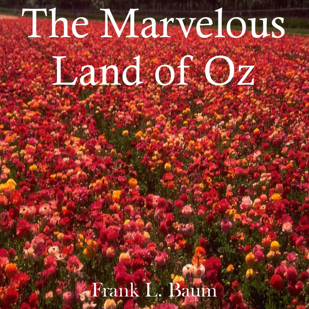 Buy The Marvelous Land of Oz (Junior Classics) Book Online at Low ...