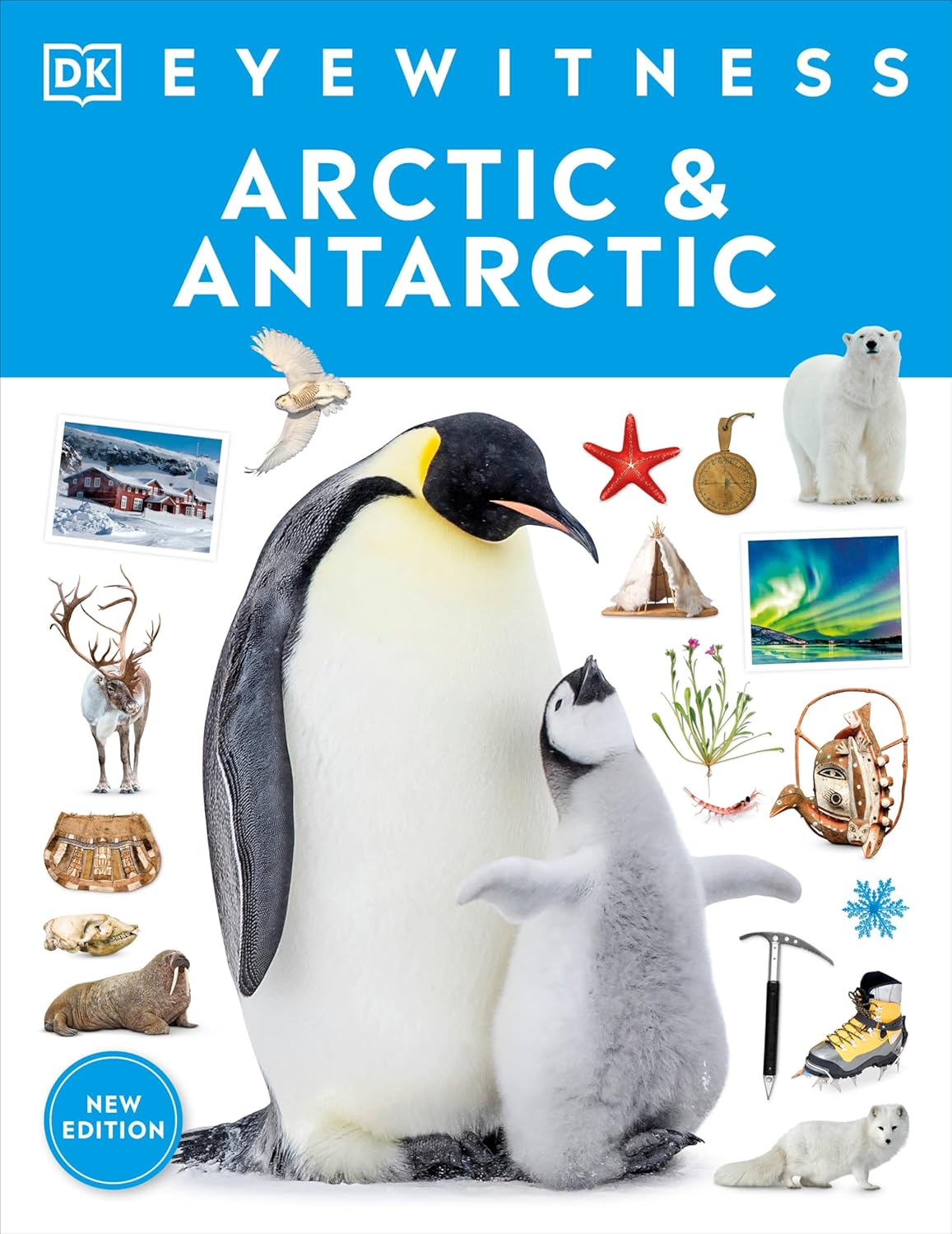 Eyewitness Arctic and Antarctic (DK Eyewitness): DK: 9780593842423 ...