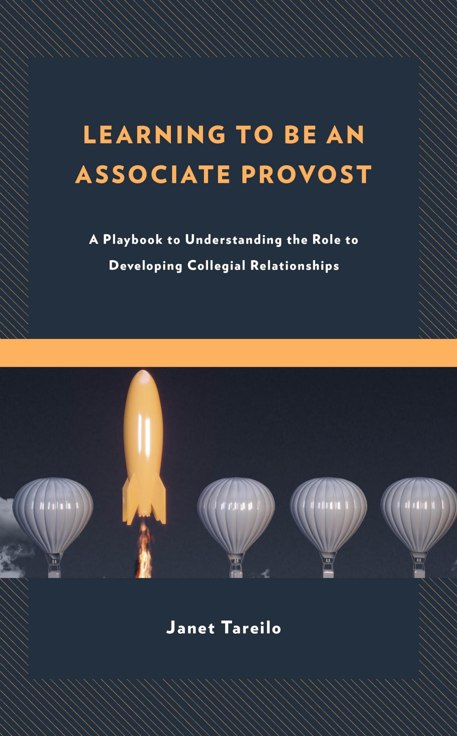 Learning to Be an Associate Provost: A Playbook to Understanding the ...