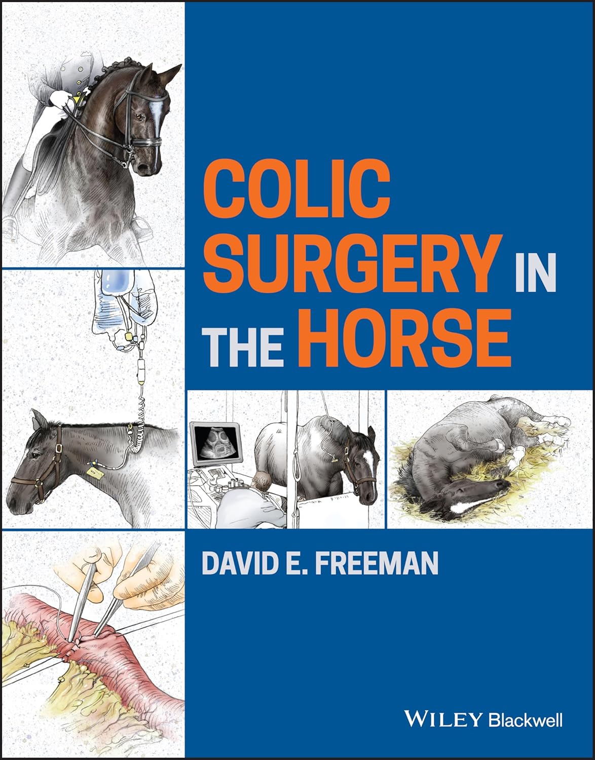 Colic Surgery in the Horse: 9781118479124: Medicine & Health Science ...