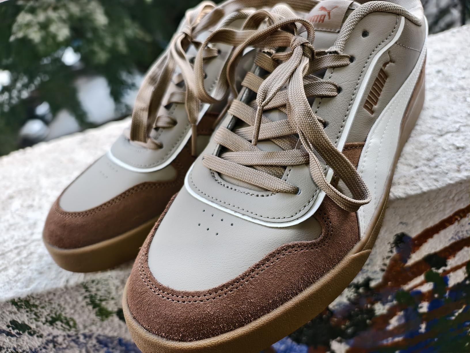 Buy Puma, Men, Puma Zarsun, Oak Branch-Haute Coffee-Gum, Sneaker, 11UK ...