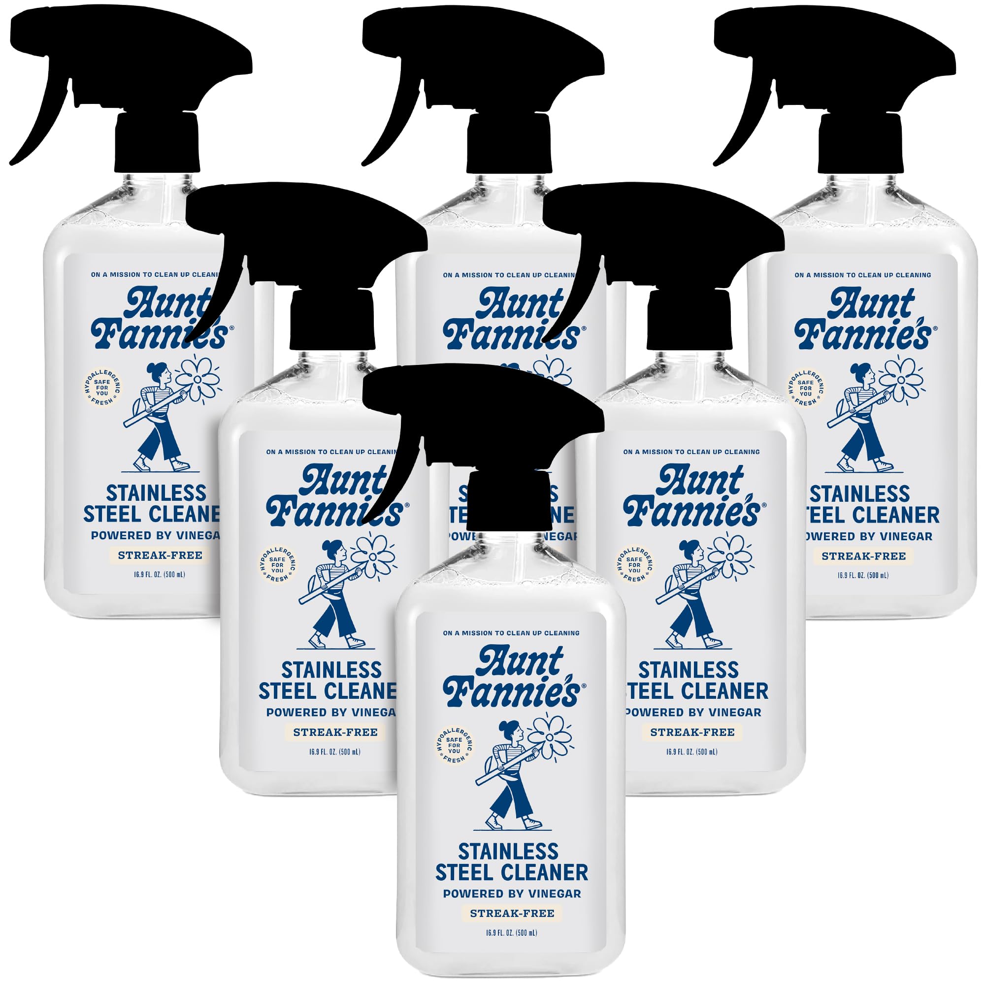 Amazon.com: Aunt Fannie's Stainless Steel Spray Cleaner, Powered by ...