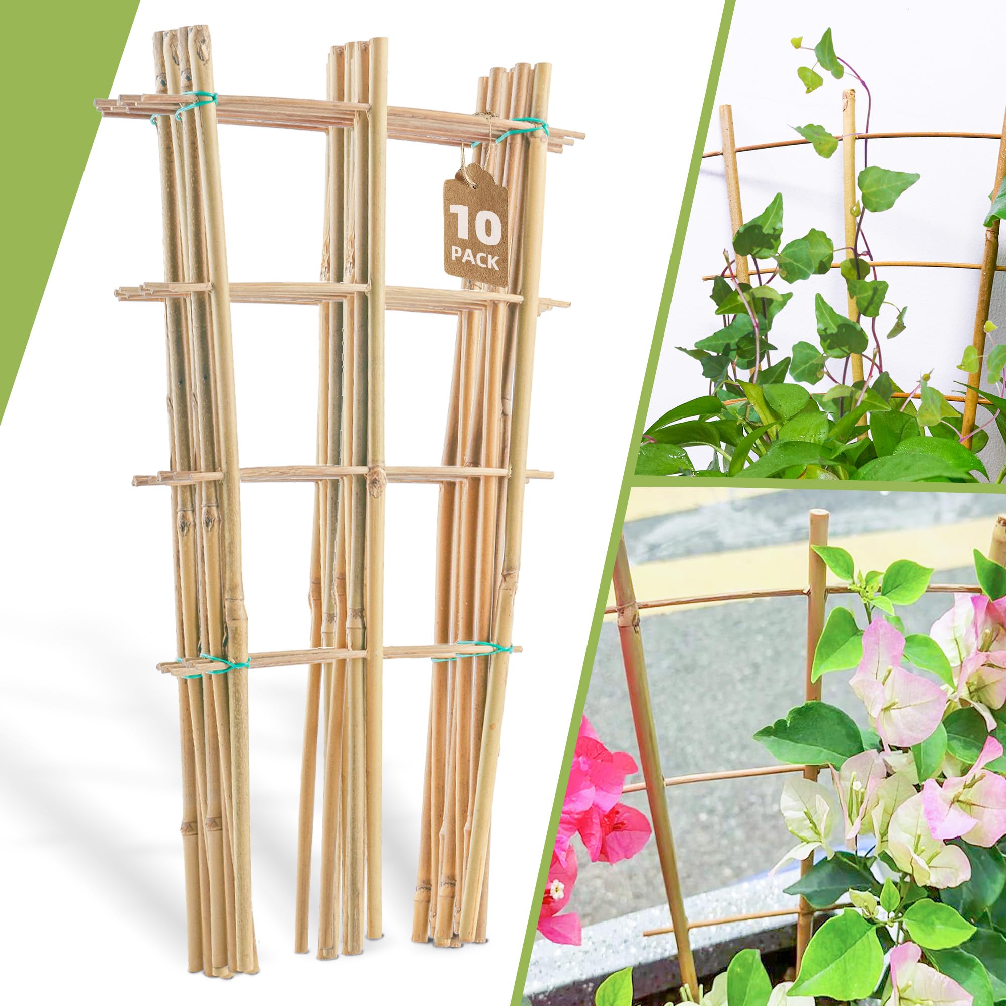 Snapklik.com : 10 Pack 16" Bamboo Trellis For Climbing Plants-Natural ...