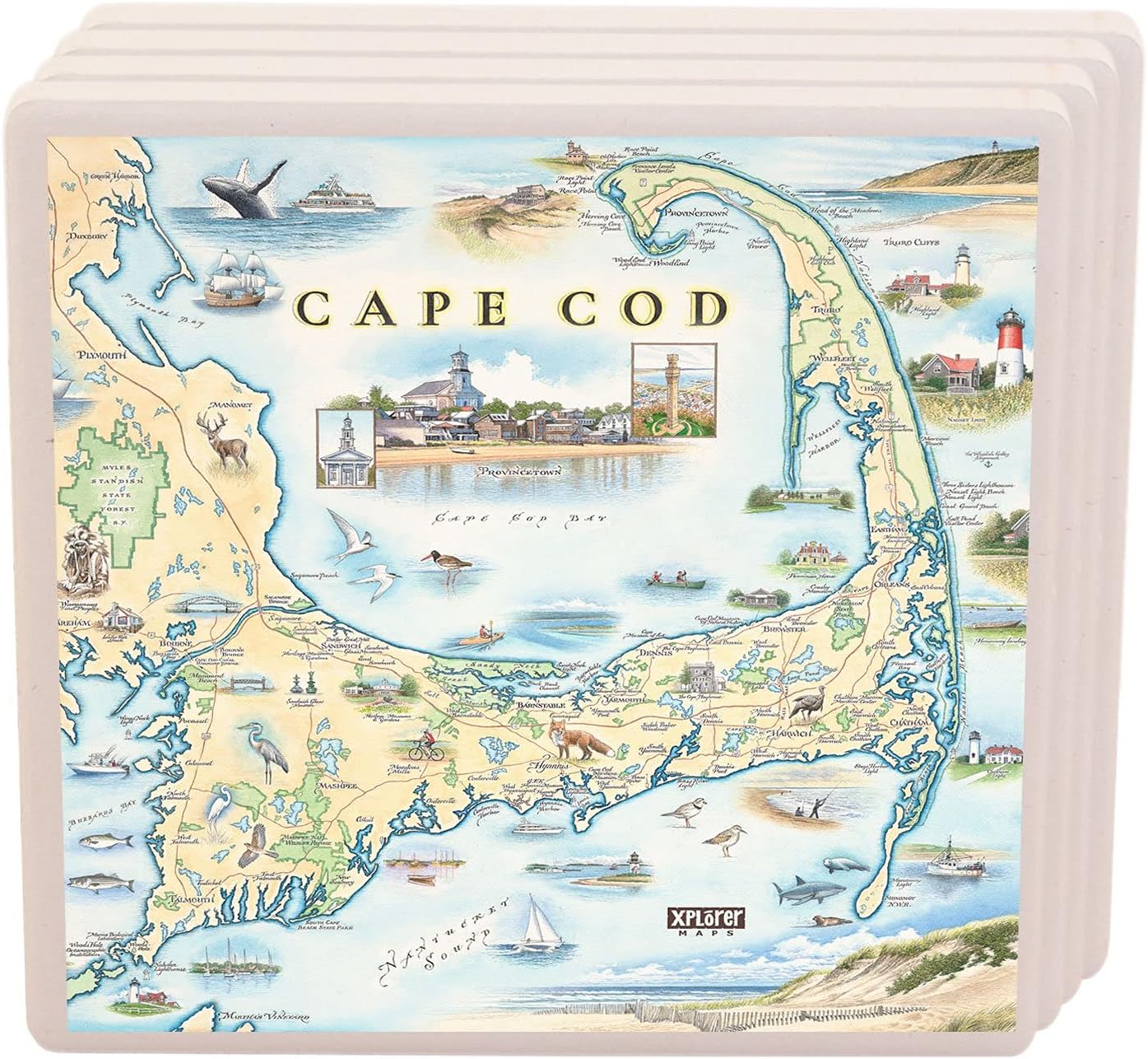 Amazon.com: Cape Cod Ceramic Coasters Set of 4 : Home & Kitchen