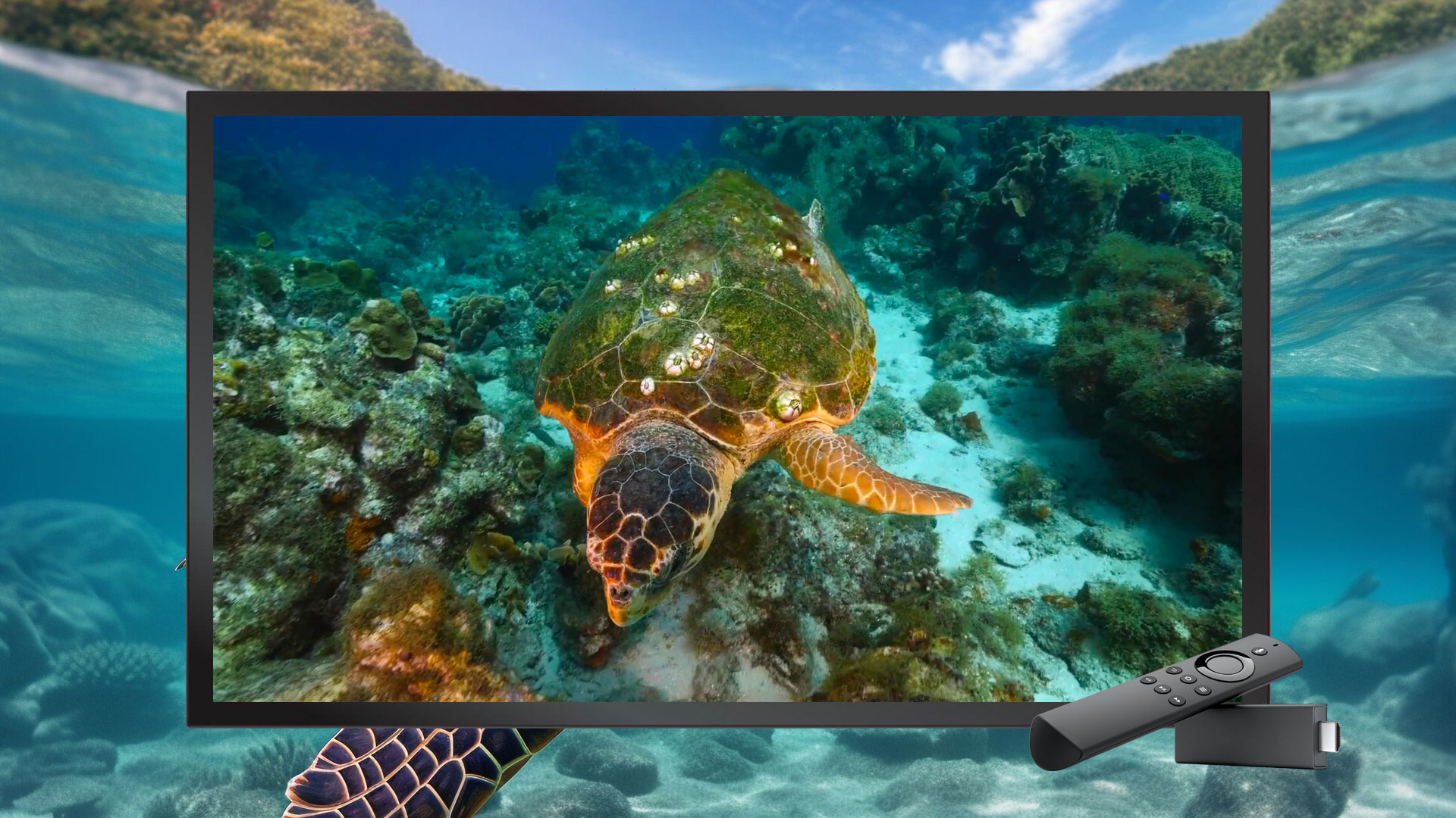 Ocean Harmony - Premium Relaxation App for Tablets & Fire TV.:Amazon ...