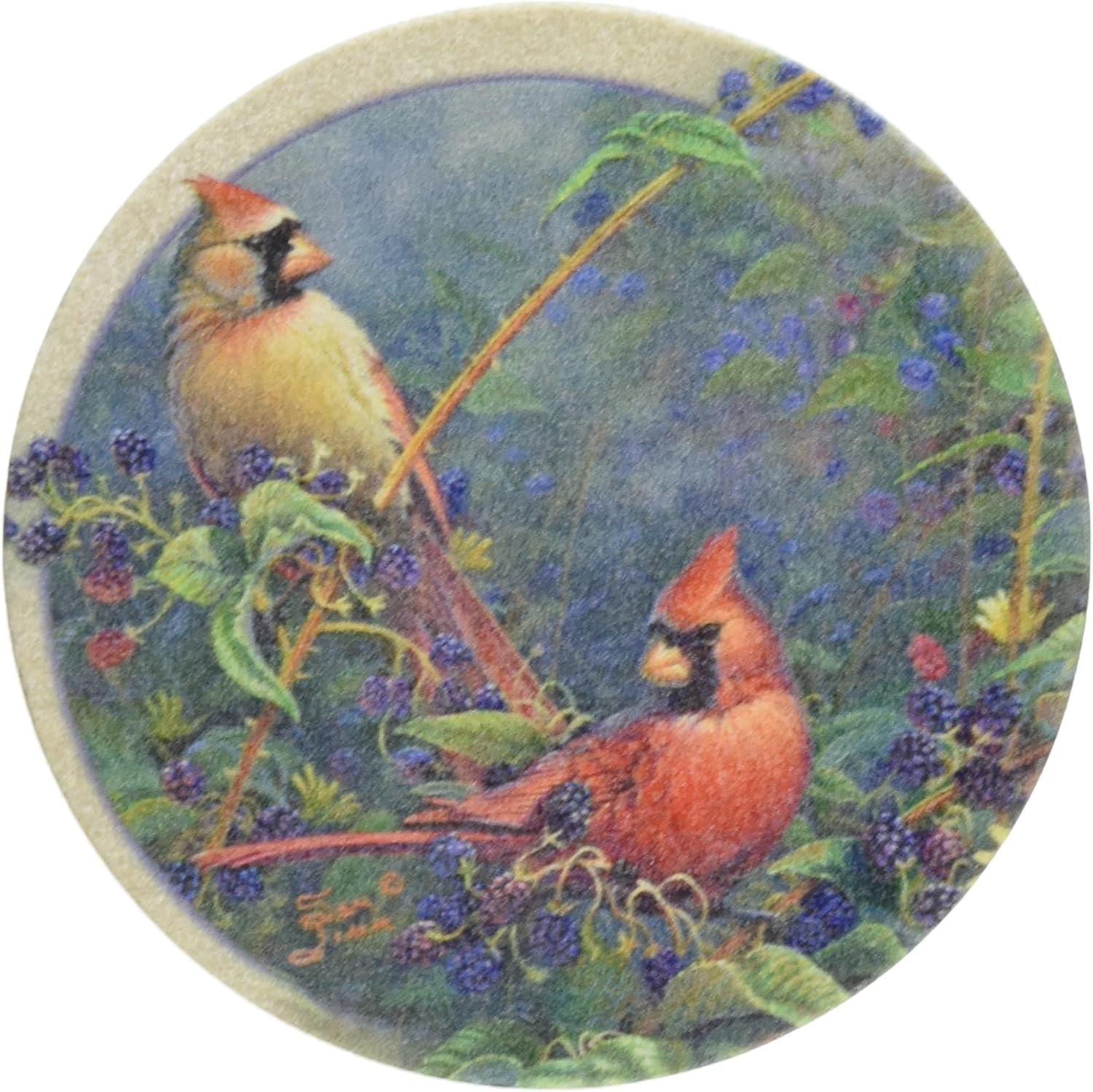 Amazon.com | Thirstystone Drink Coaster Set, Cardinal Pair ...