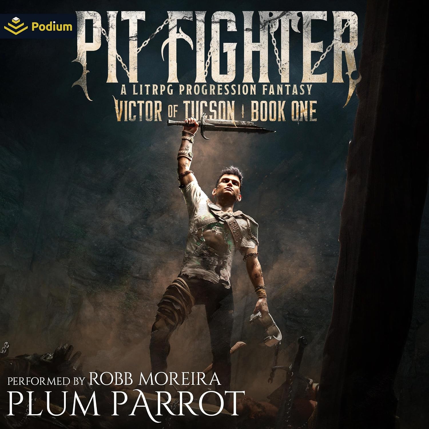 Amazon.com: Pit Fighter: A LitRPG Progression Fantasy: Victor of Tucson ...