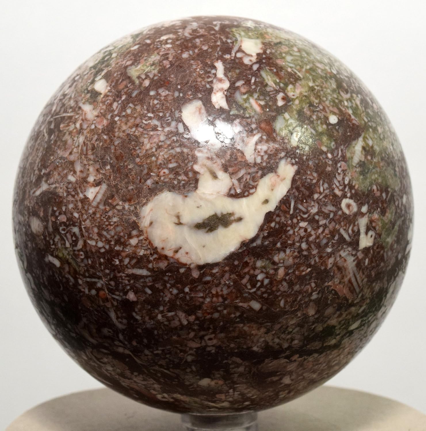 Amazon.com: HQRP 3.2" 755g Natural Crinoid Fossil Sphere Polished ...