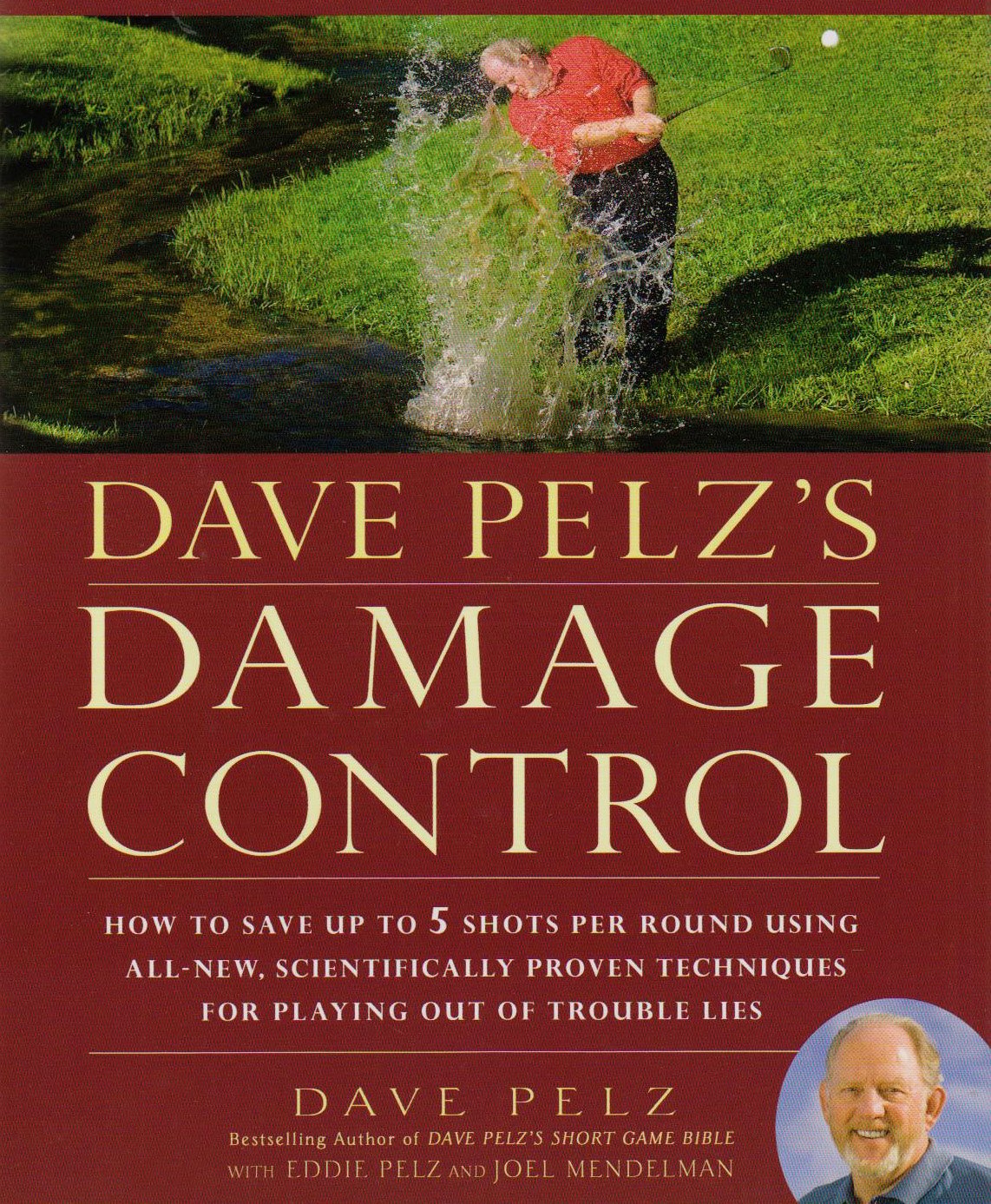 Dave Pelzs Damage Control: Dave Pelz: 9781845135003: Amazon.com: Books