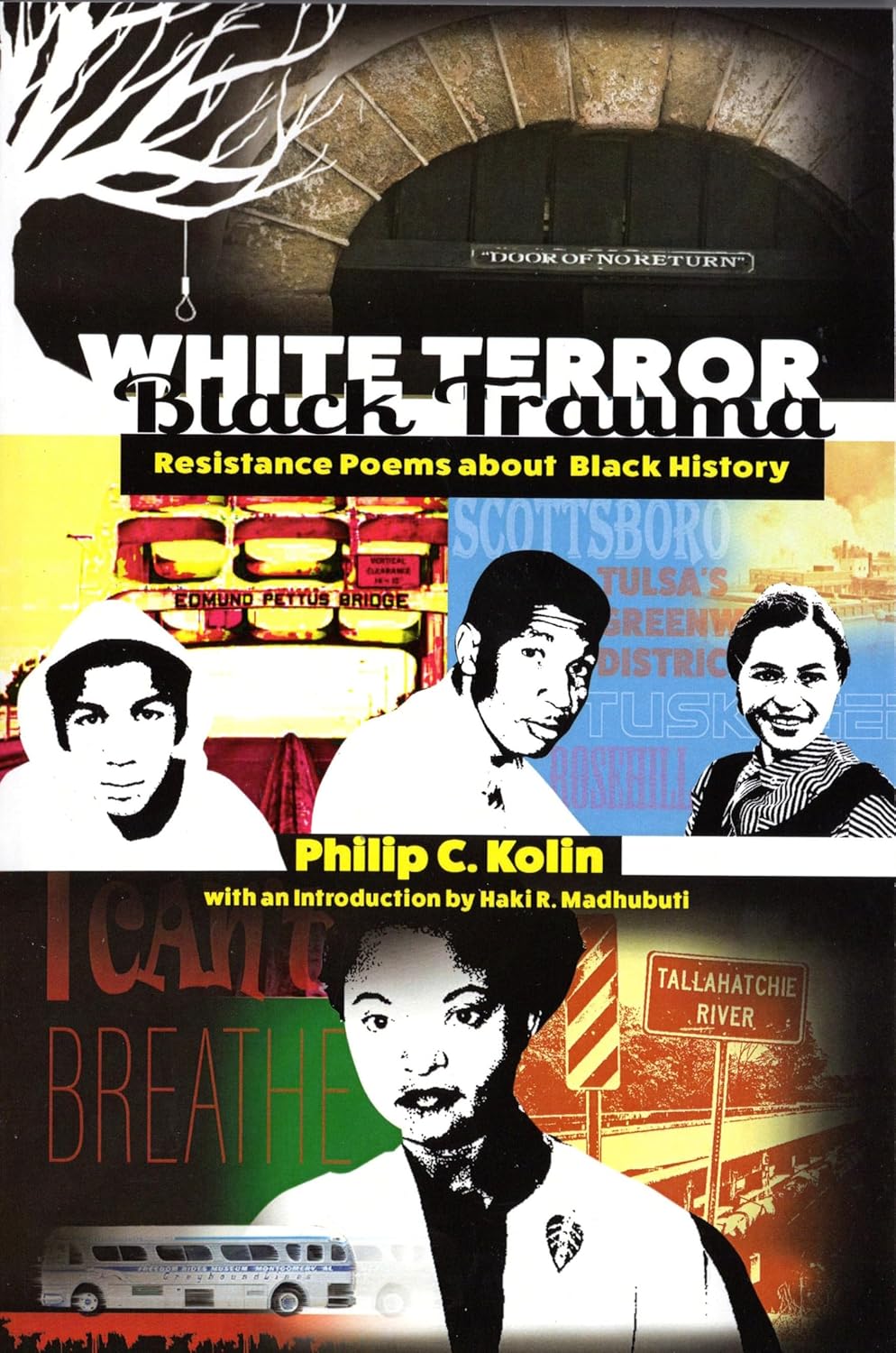 Amazon.com: White Terror Black Trauma: Resistance Poems About Black ...