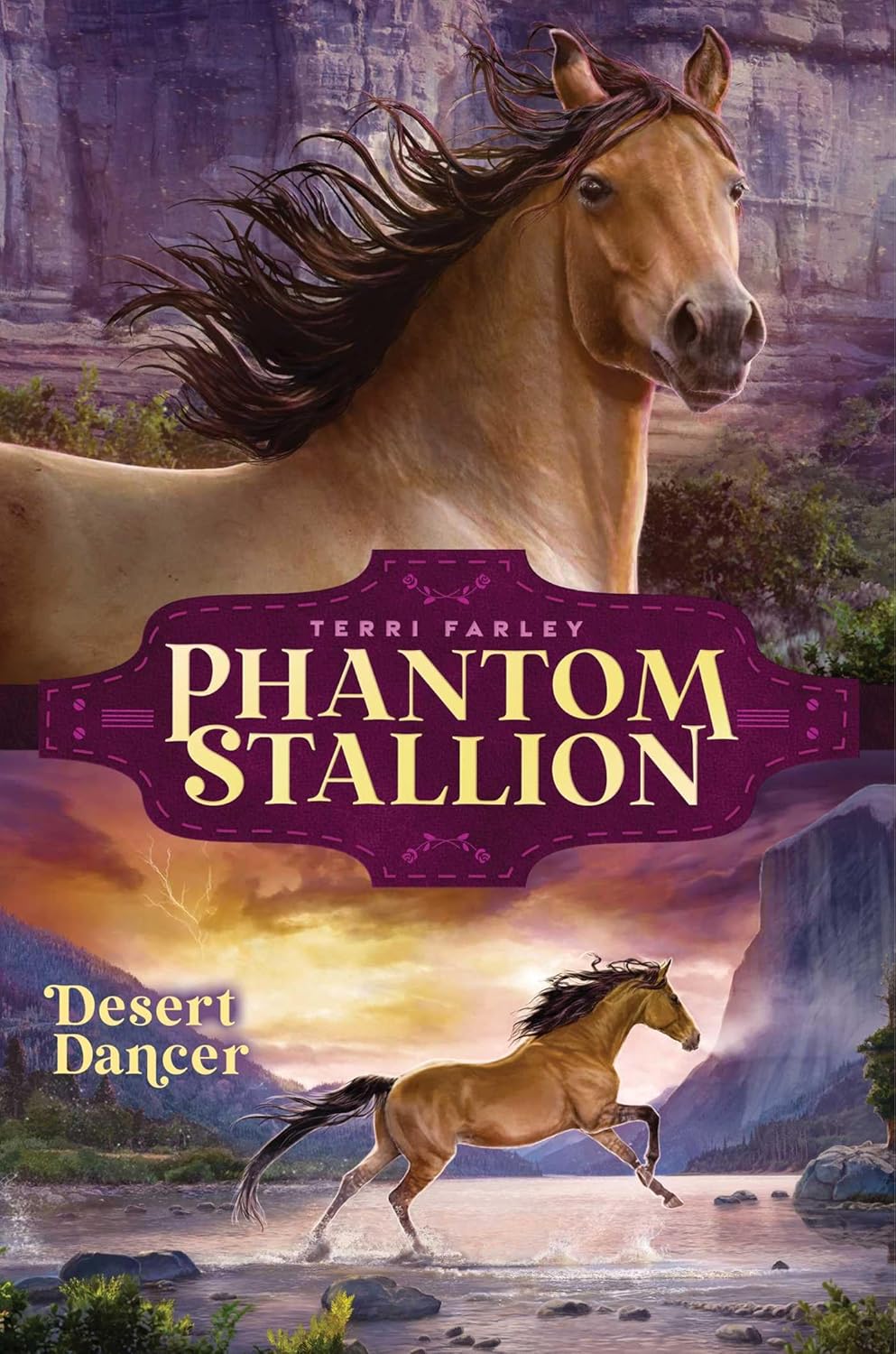 Desert Dancer (Phantom Stallion Book 7) eBook : Farley, Terri: Amazon ...