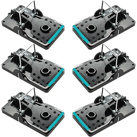 Amazon.com : Large Powerful Rat Traps (6 Pack) - Kills Instantly with ...