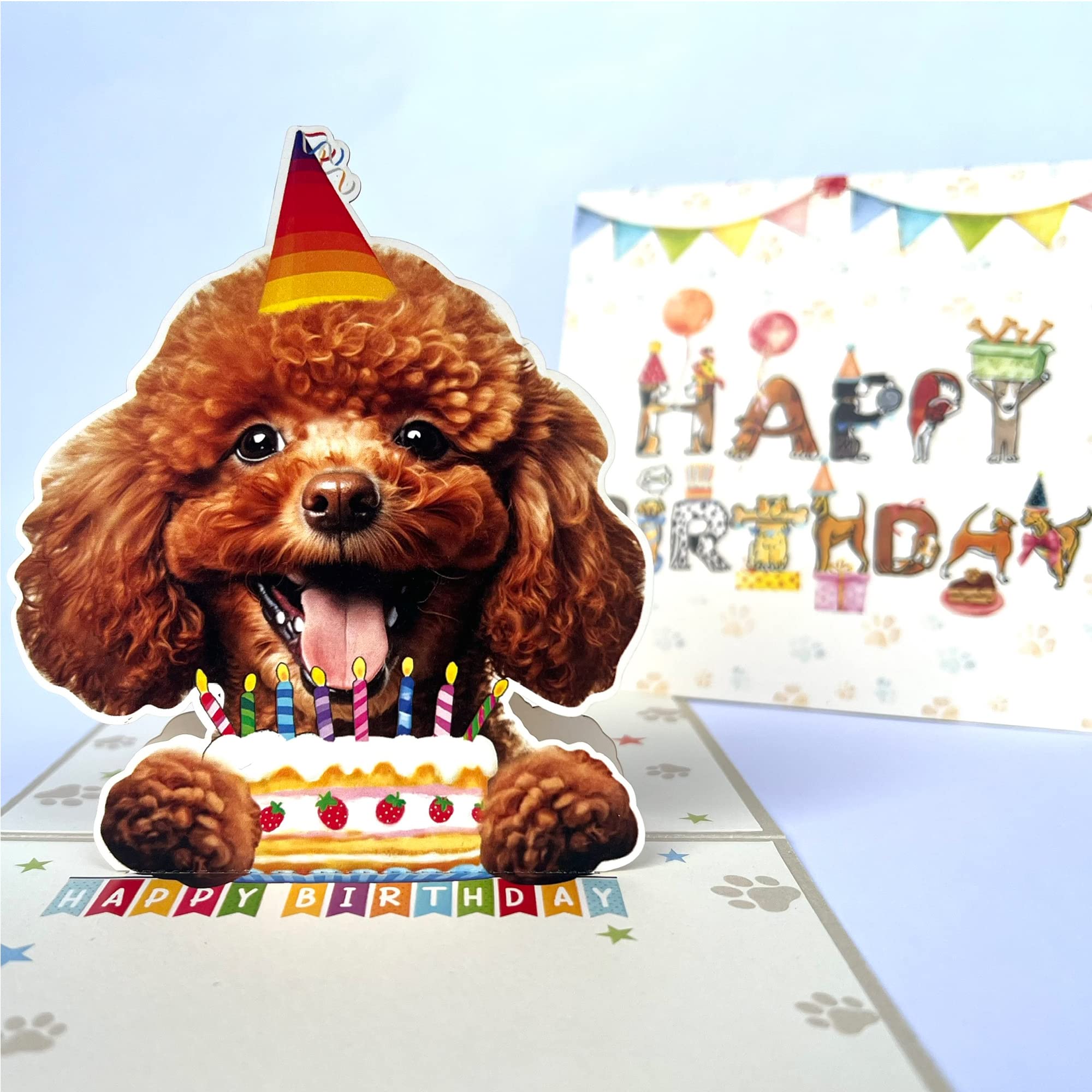 Poodle Birthday Memes