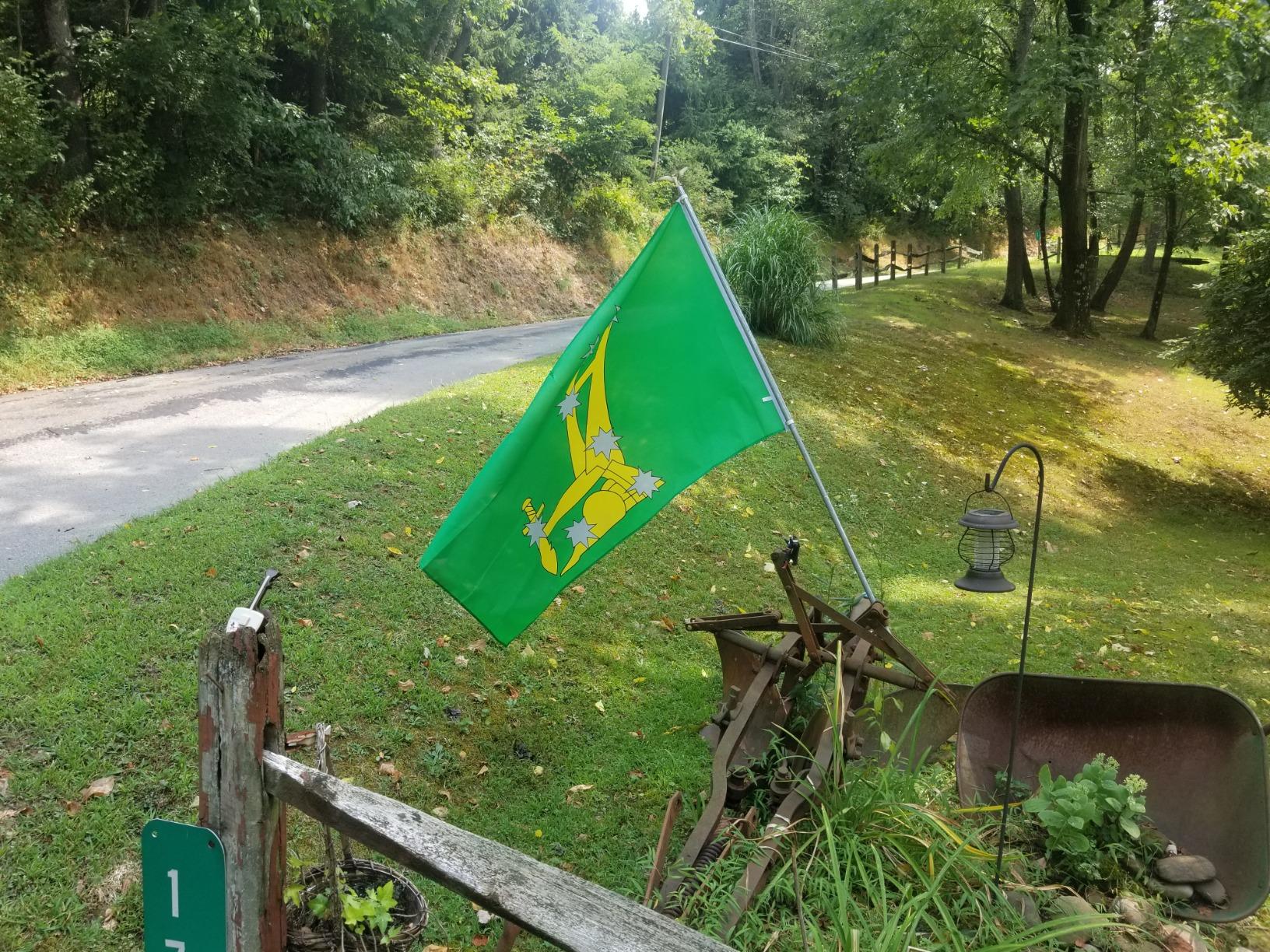 Amazon.com : AZ FLAG - Starry Plough of Ireland Flag - 3x5 Ft - 100D ...