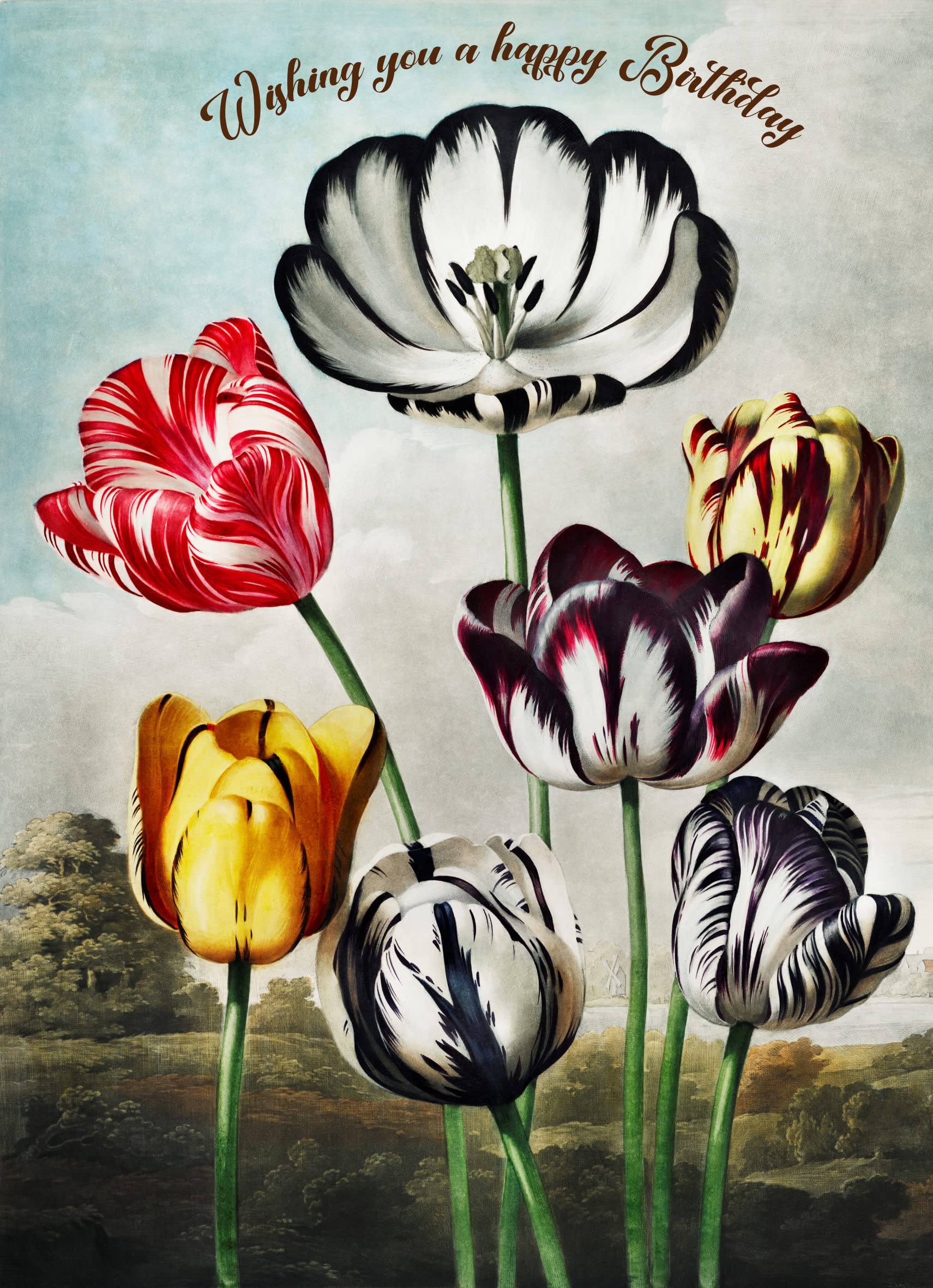 Amazon.com : PIXILUV HAPPY BIRTHDAY Greeting card ~ Beautiful Realistic ...