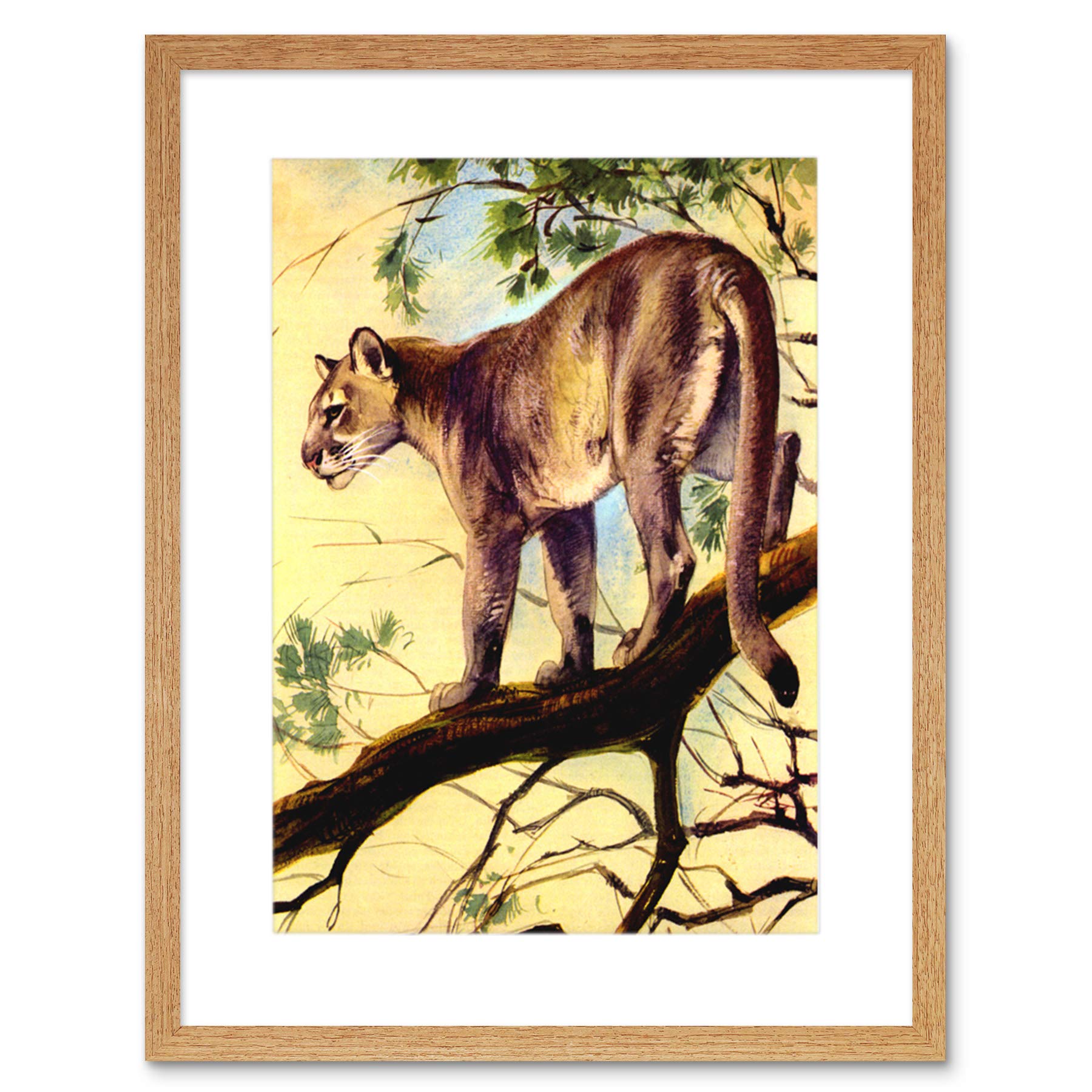 Pintura Puma Placa Decorativa Puma Pintura Spray Decoração Animais