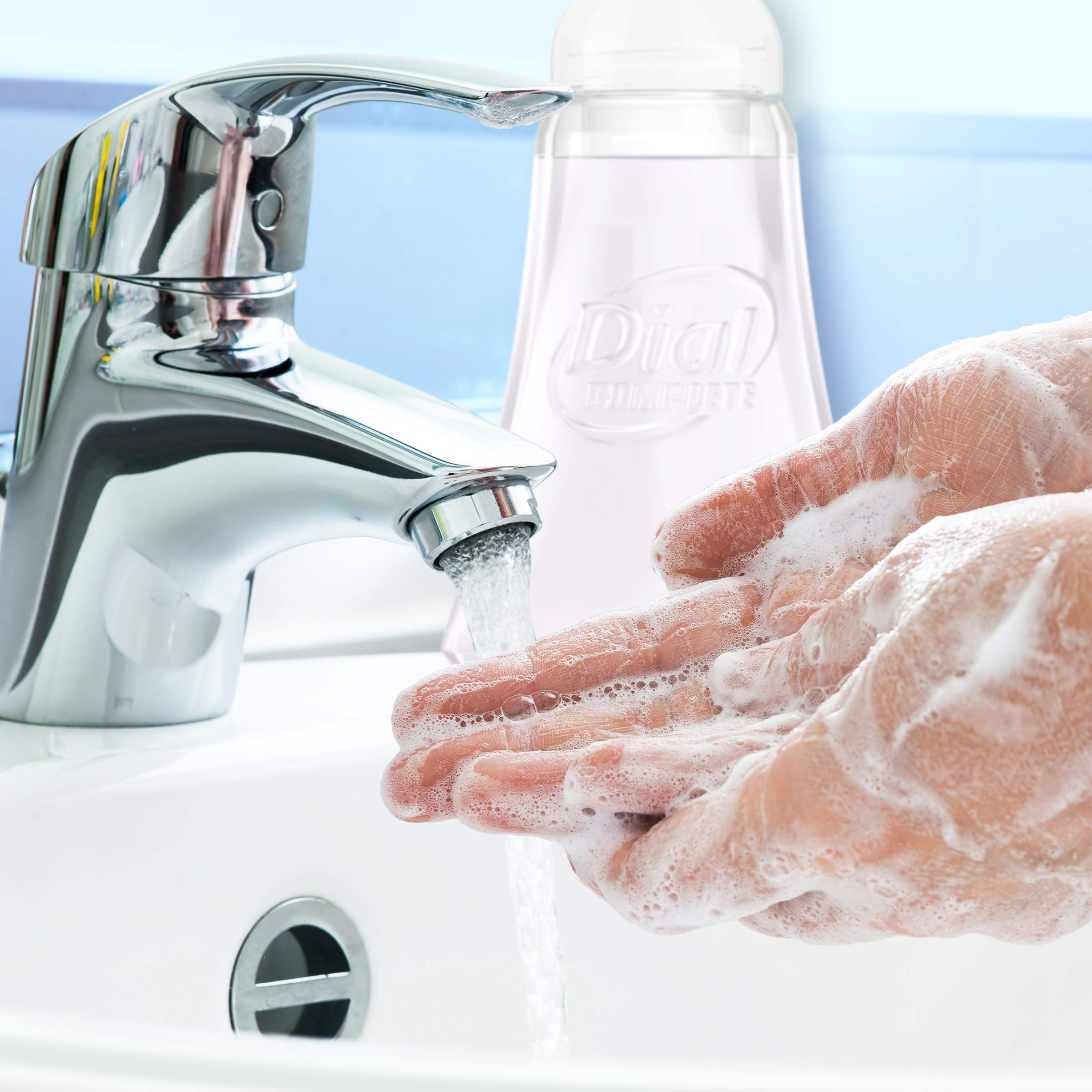 Snapklik.com : Dial Complete White Tea And Vit. E Antibacterial Foaming ...