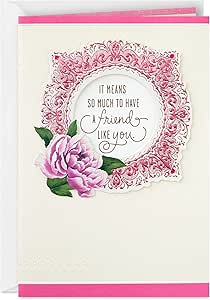 Amazon.com : Hallmark Birthday Card for Friend (Friend Like You ...