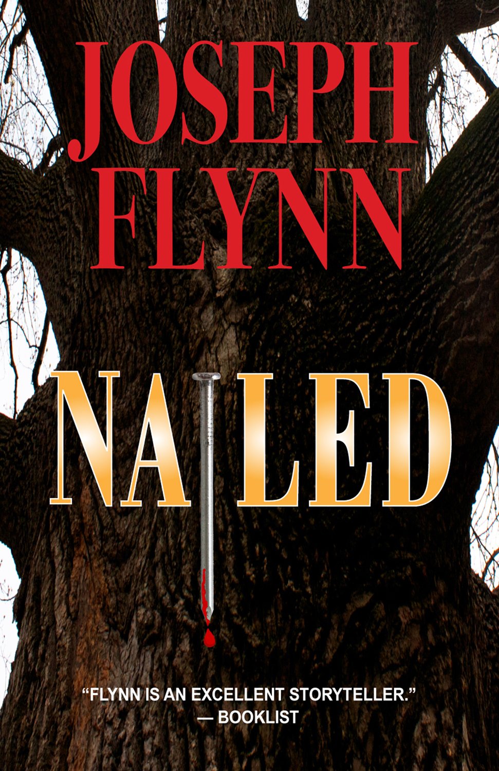Nailed (A Ron Ketchum Mystery Book 1) - Kindle edition by Flynn, Joseph ...