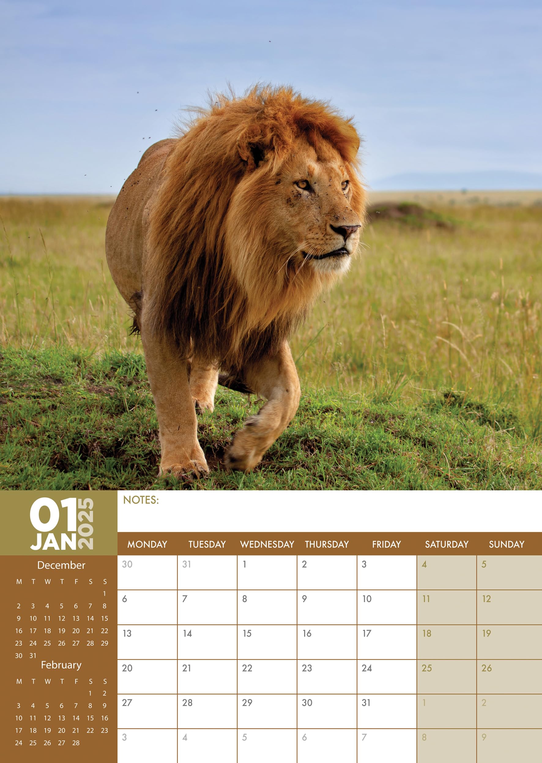 Lions 2025 – A3 Size Wirobound Calendar – BigaMart