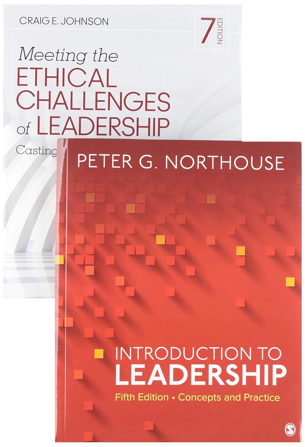 Amazon.com: BUNDLE: Northouse: Introduction to Leadership 5e (Paperback ...