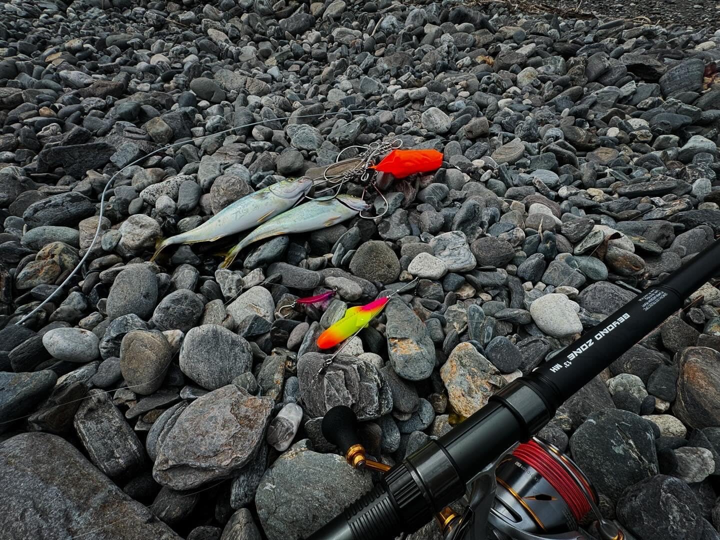 Amazon | JACKALL(ジャッカル) ビヨンドゾーン (BEYOND ZONE) 13ft (3.96m) BZ-130MH | JACKALL(ジャッカル) | キャスティングロッド