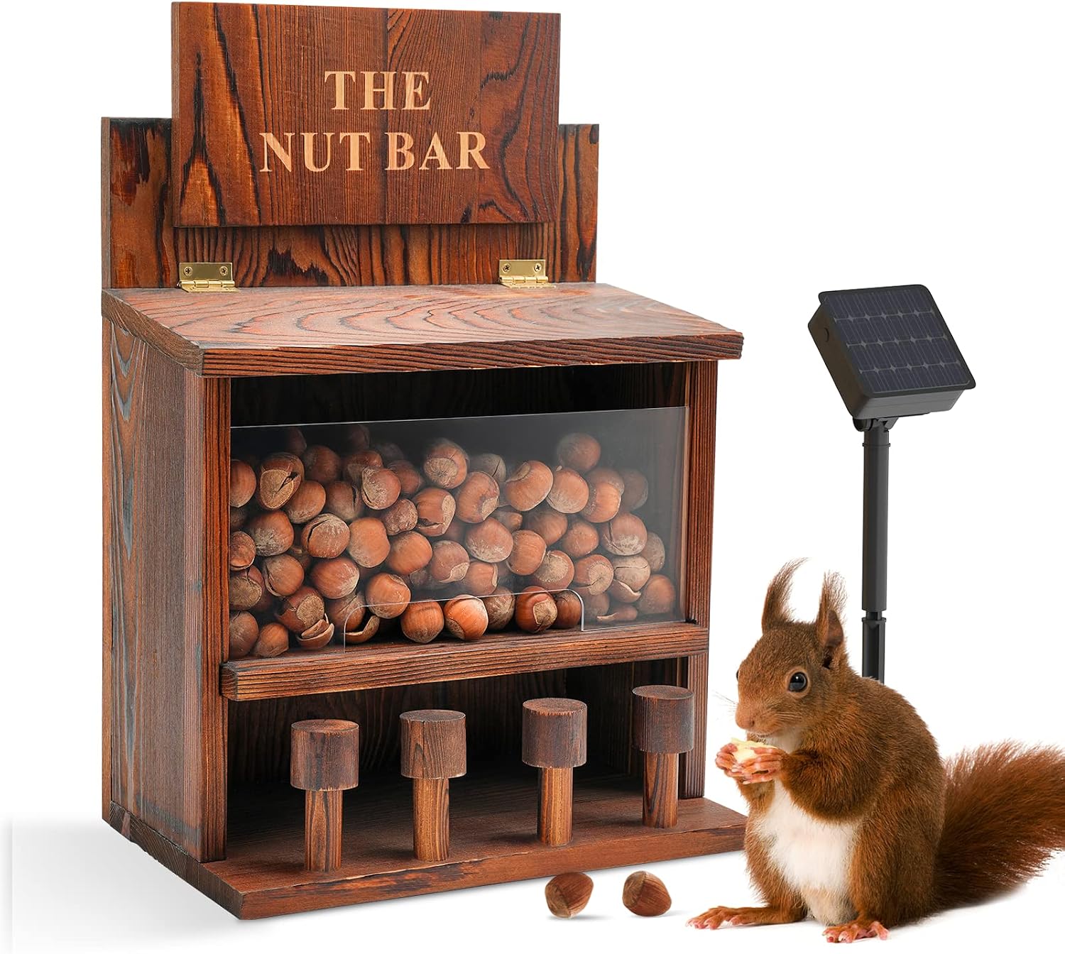 Amazon.com : CODOGOY Wooden Squirrel Feeder Box Squirrel Chipmunk ...