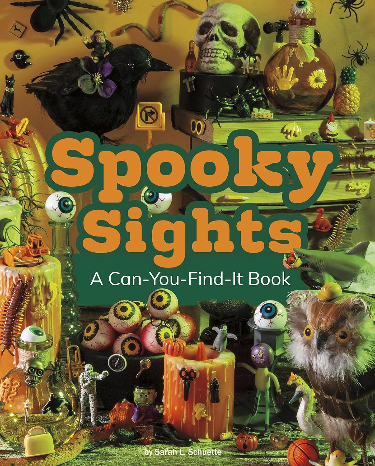 Spooky Sights: A Can-You-Find-It Book: Schuette, Sarah L ...