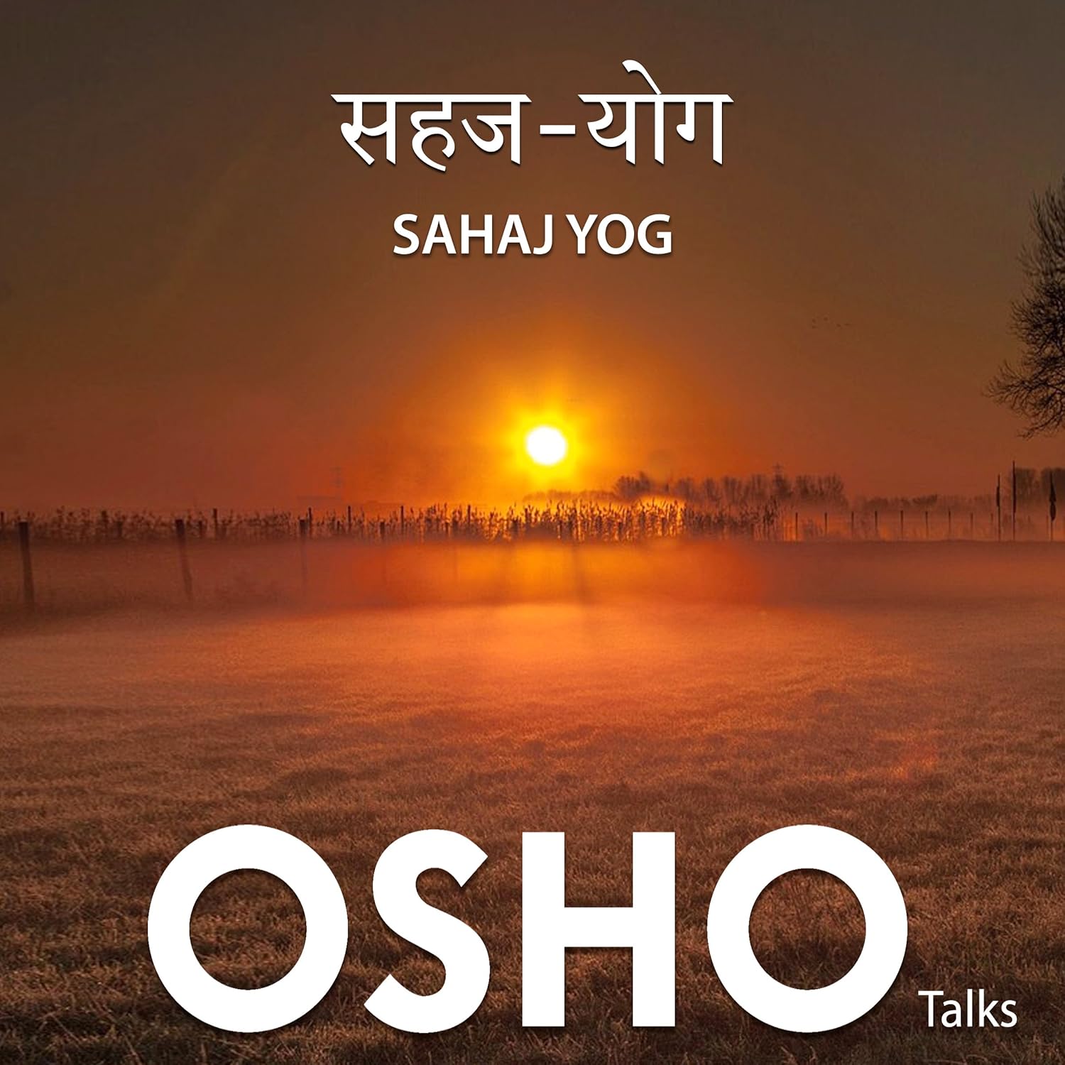 Sahaj Yog (Audio Download): OSHO, OSHO, Osho International: Amazon.in ...