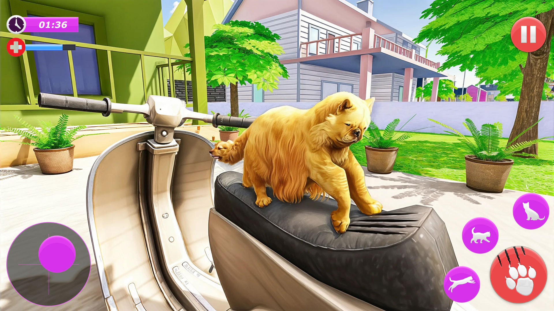 Bad Cat Pranks Pet Games - App on Amazon Appstore