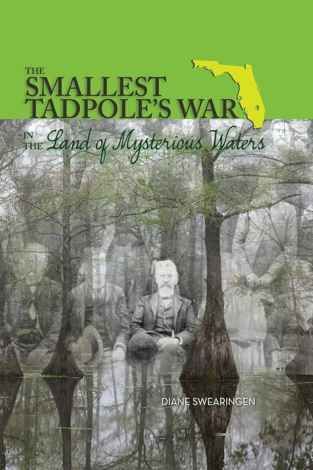 The Smallest Tadpole's War in the Land of Mysterious Waters - Kindle ...