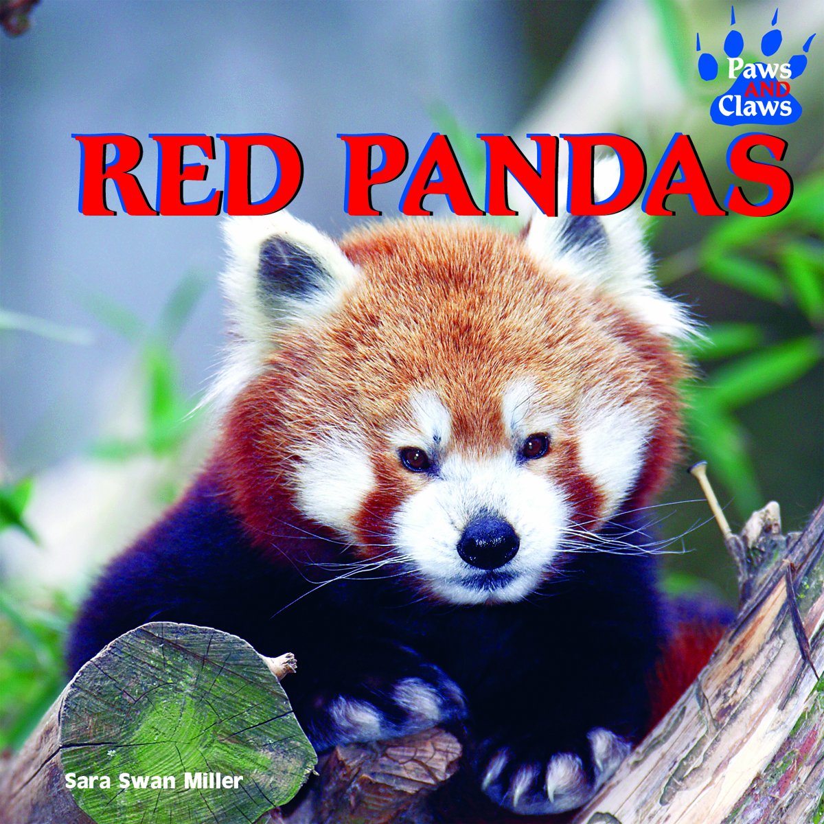 Red Panda Paws
