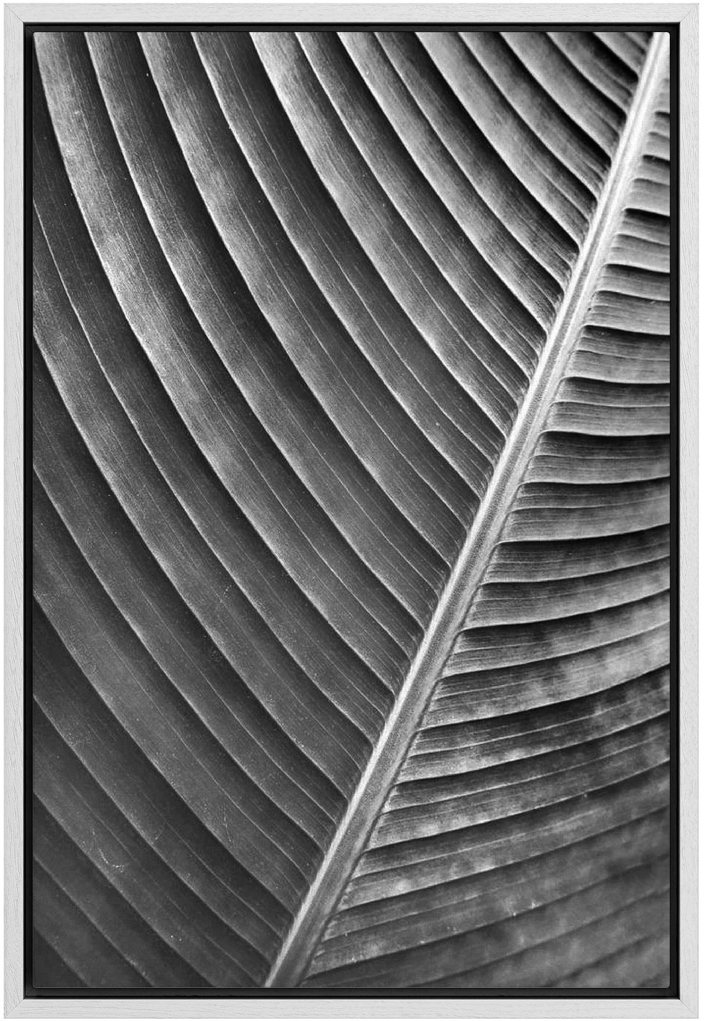 High Contrast Black And White Nature Photography