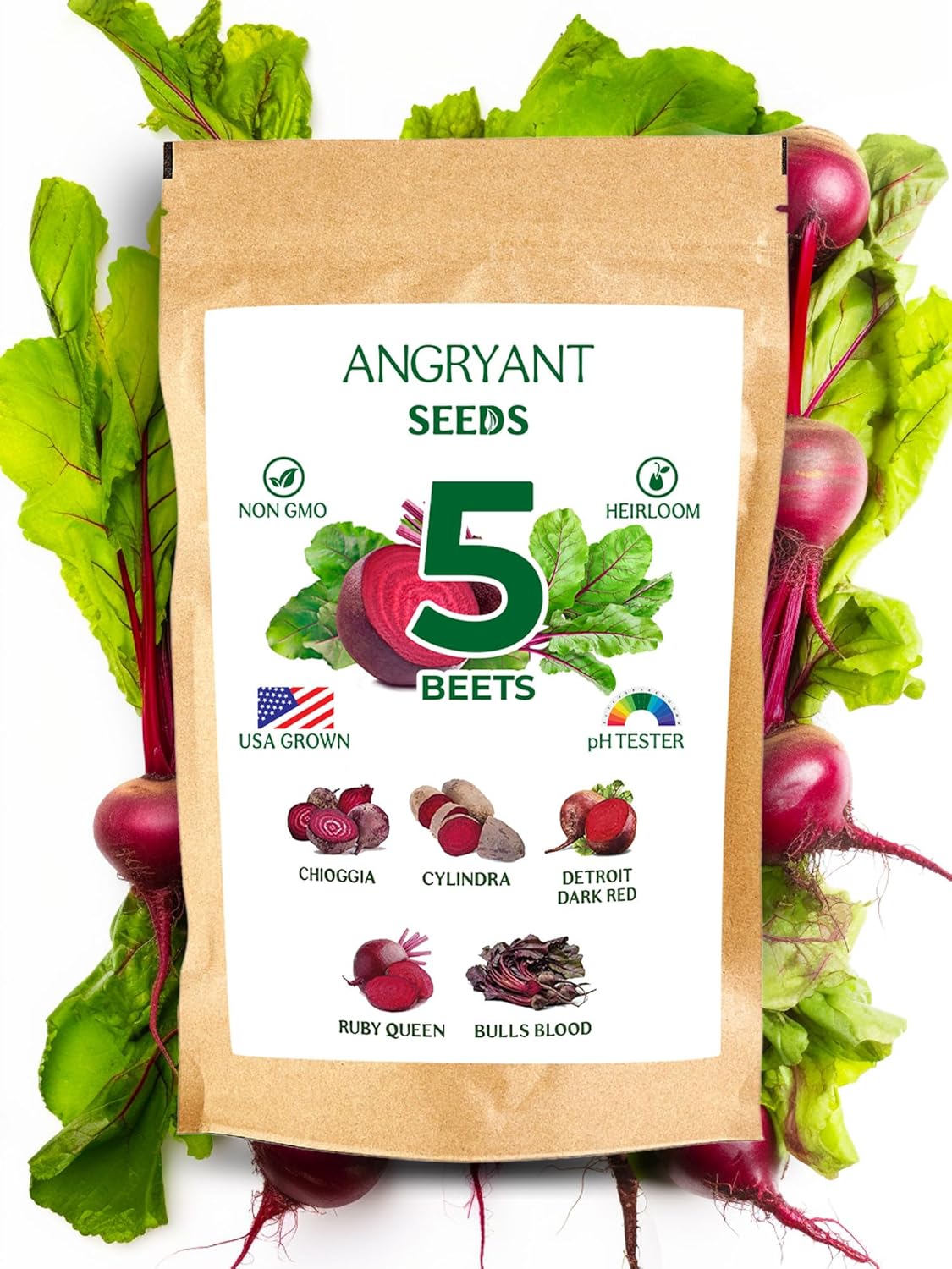 Amazon.com : 5 Beet Seeds for Planting - Non GMO, Heirloom Seeds ...