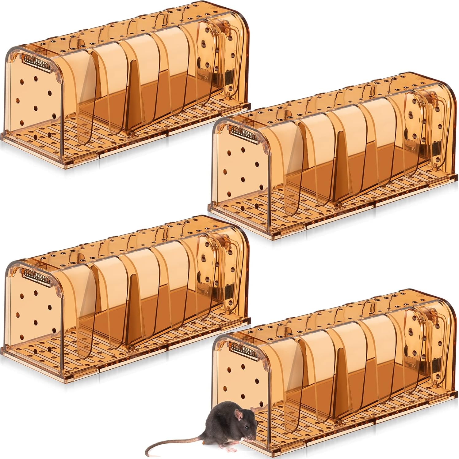 Amazon.com : Qualirey Rat Trap Humane Mouse Trap Catch and Release ...