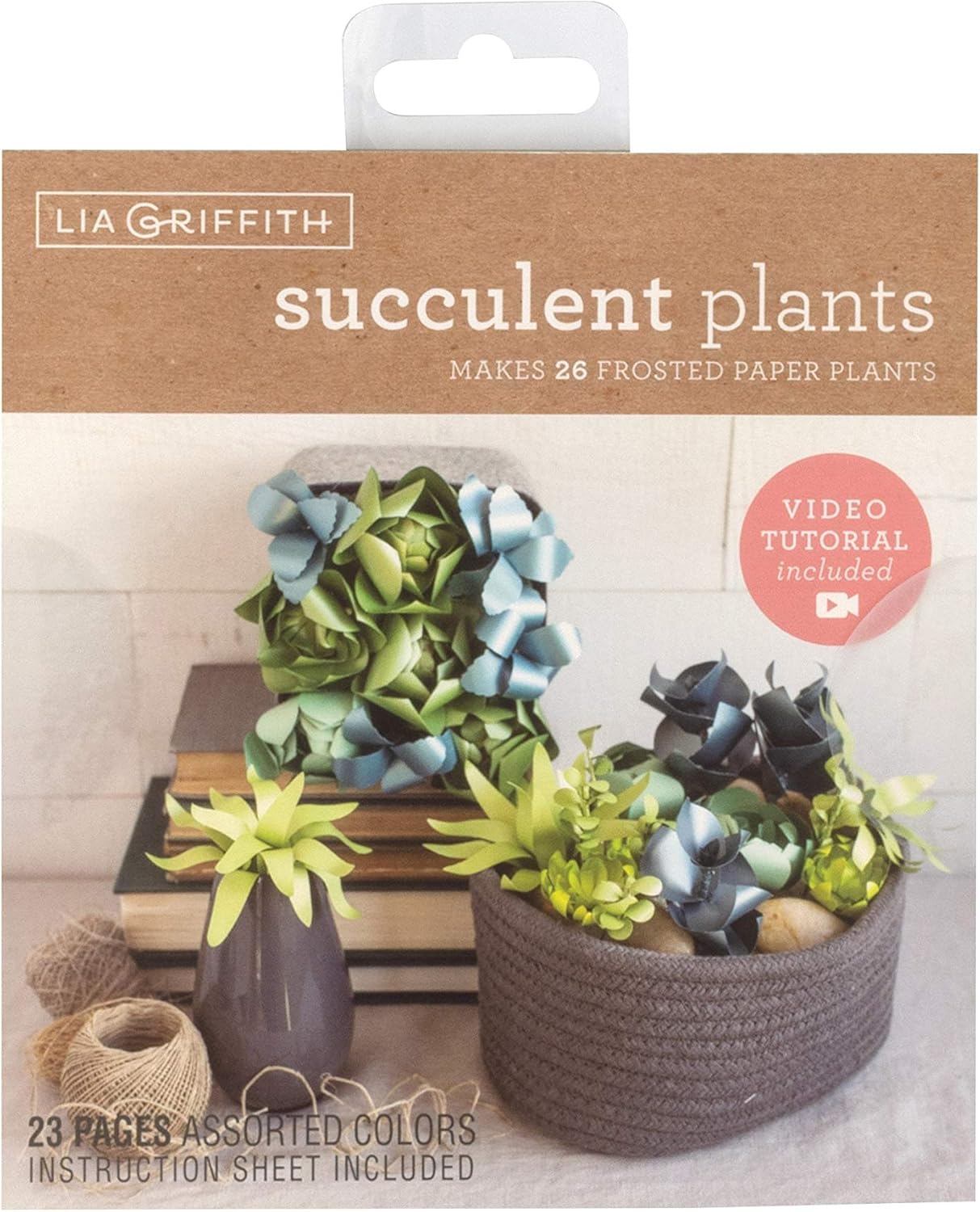 Amazon.com: Lia Griffith Succulent Frosted Paper Plants, 6" x 6.5 ...