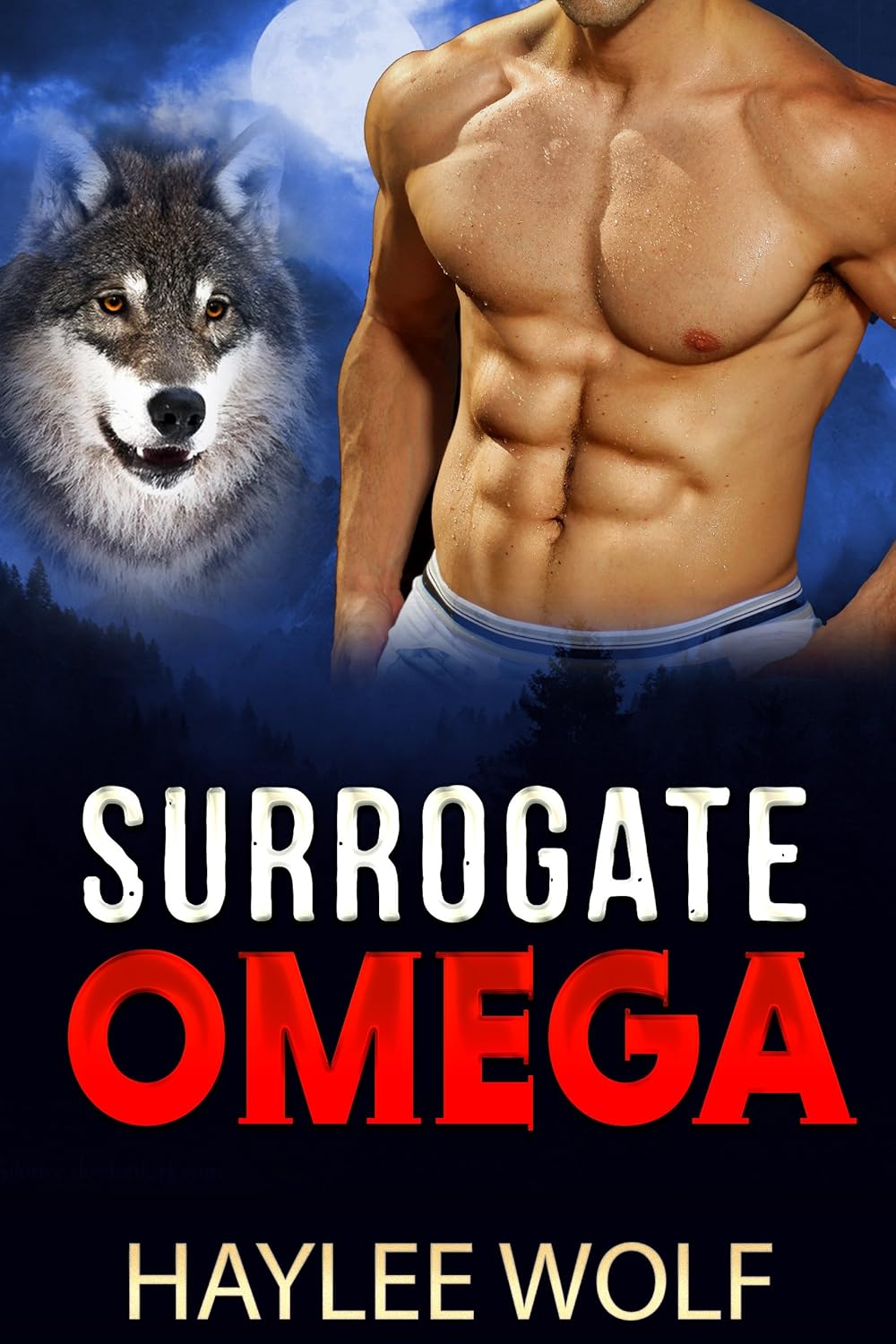 Surrogate Omega: M/M Gay Mpreg Romance (Omega Tales Book 1) eBook ...